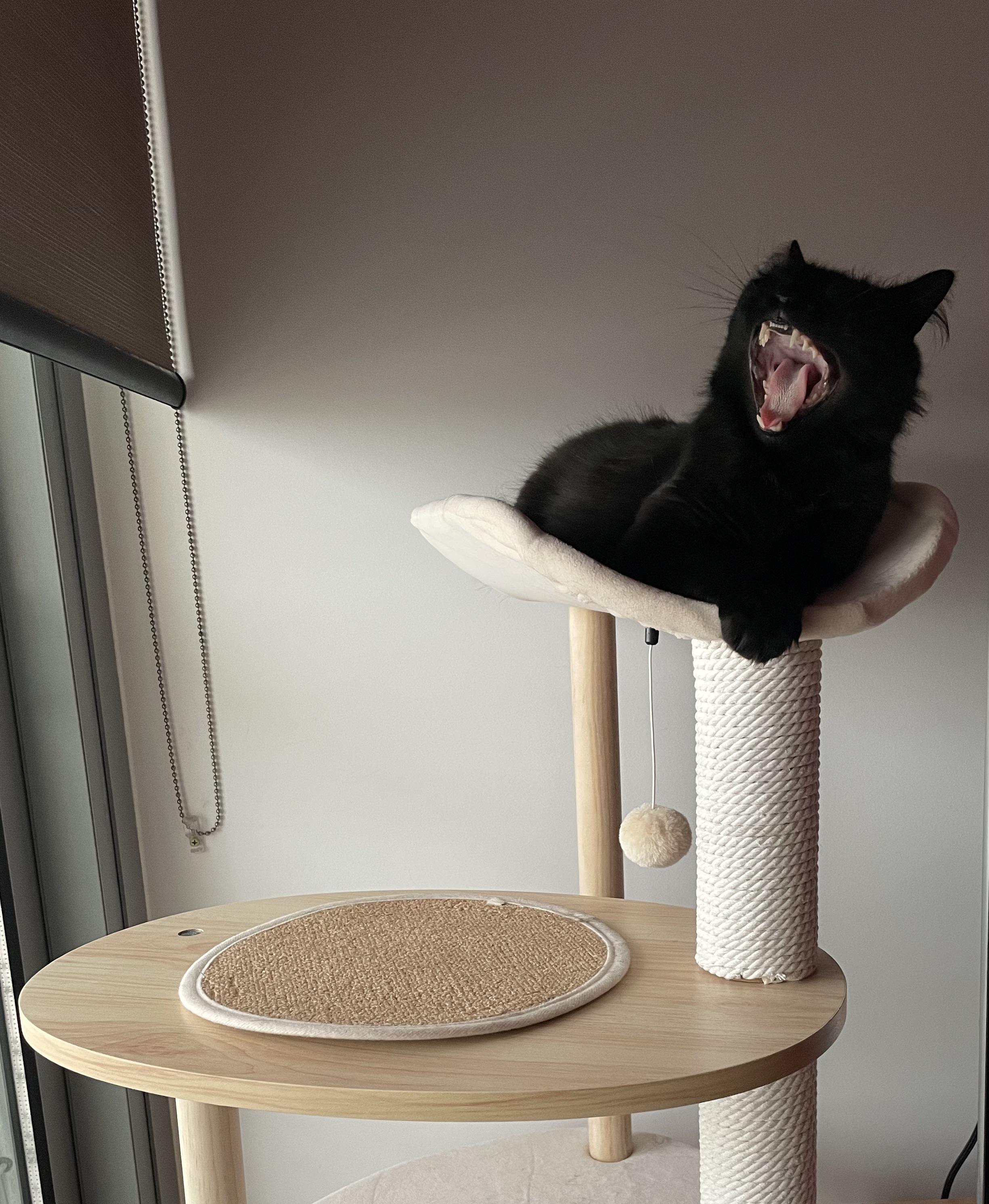 Void yawn | Scrolller