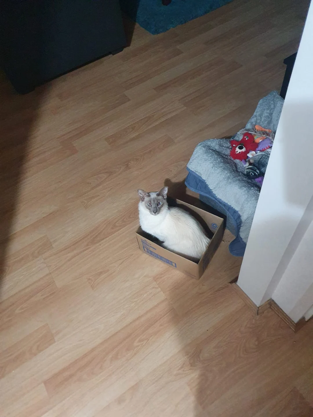 The old set and forget trap. | Scrolller