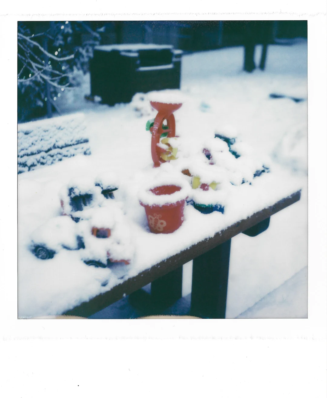 Winter photography with converted SX-70, II | Scrolller