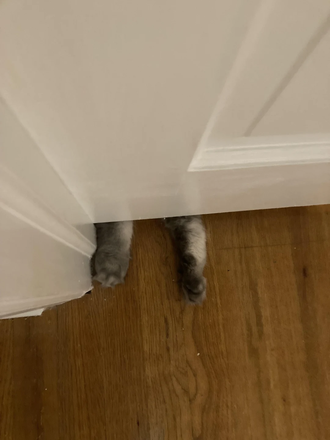 I just left her alone for one second | Scrolller