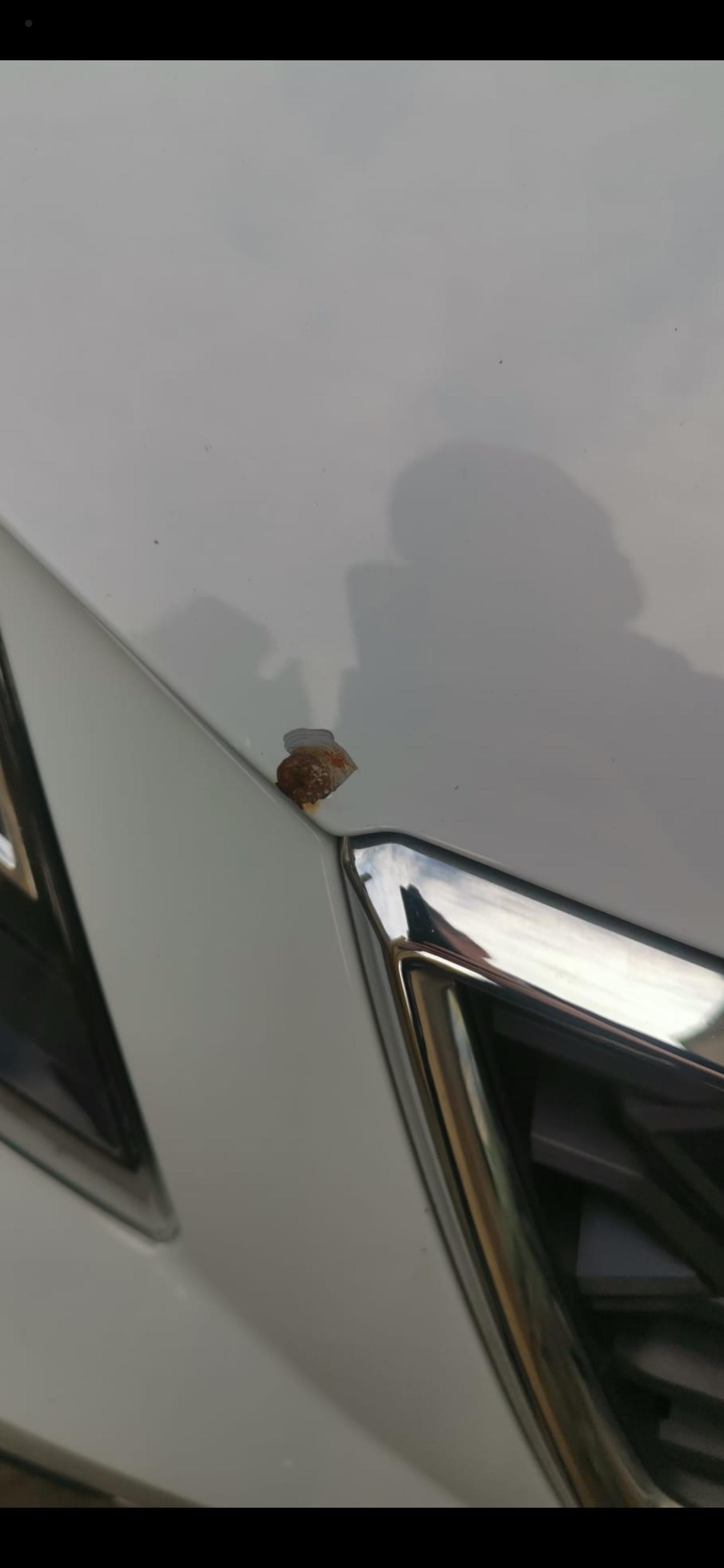 Quick fix? | Scrolller