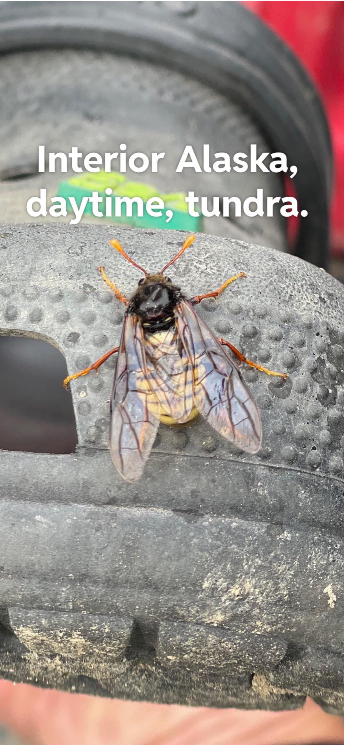 Help identifying! | Scrolller