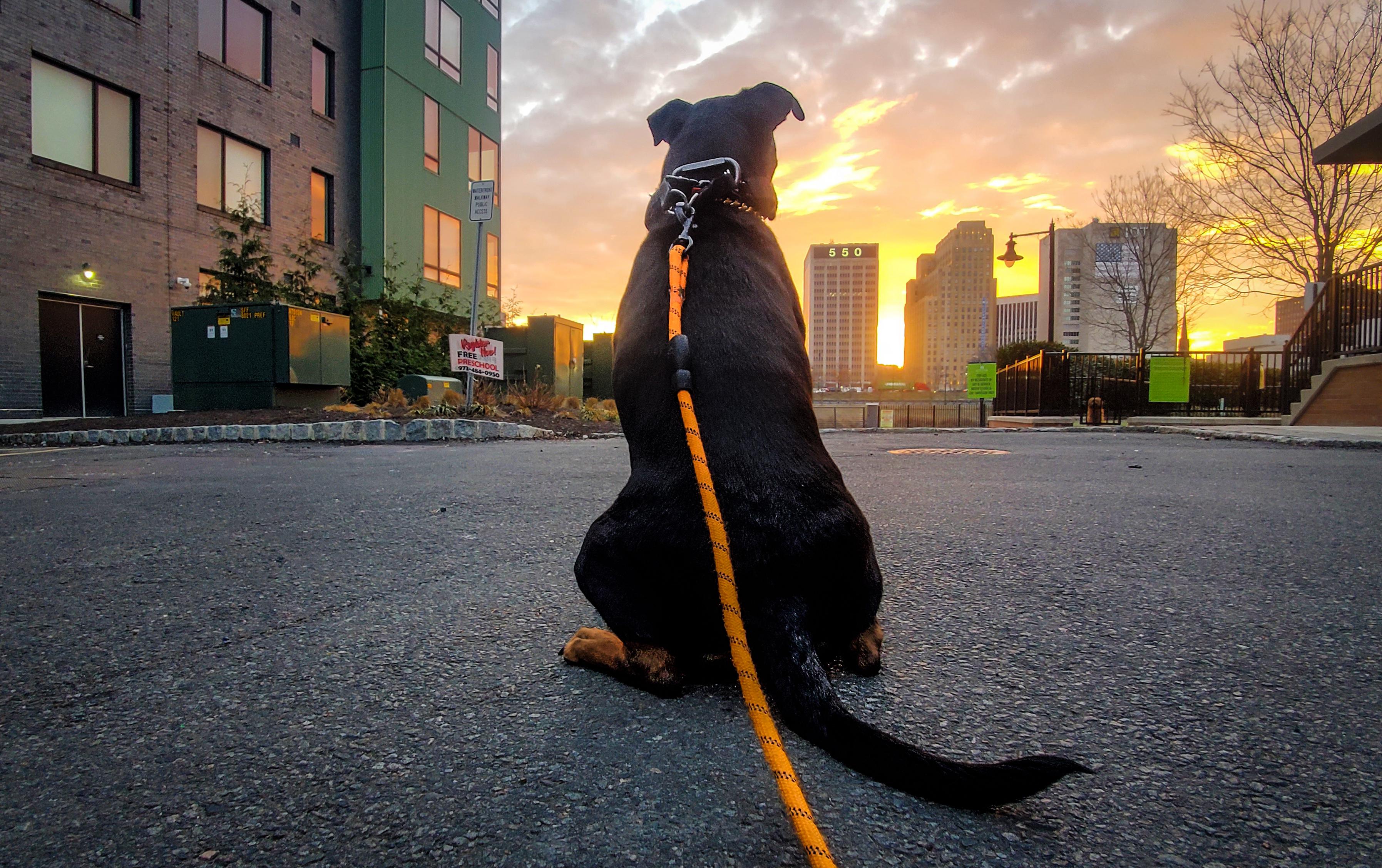 She watches TV too sometimes.. | Scrolller