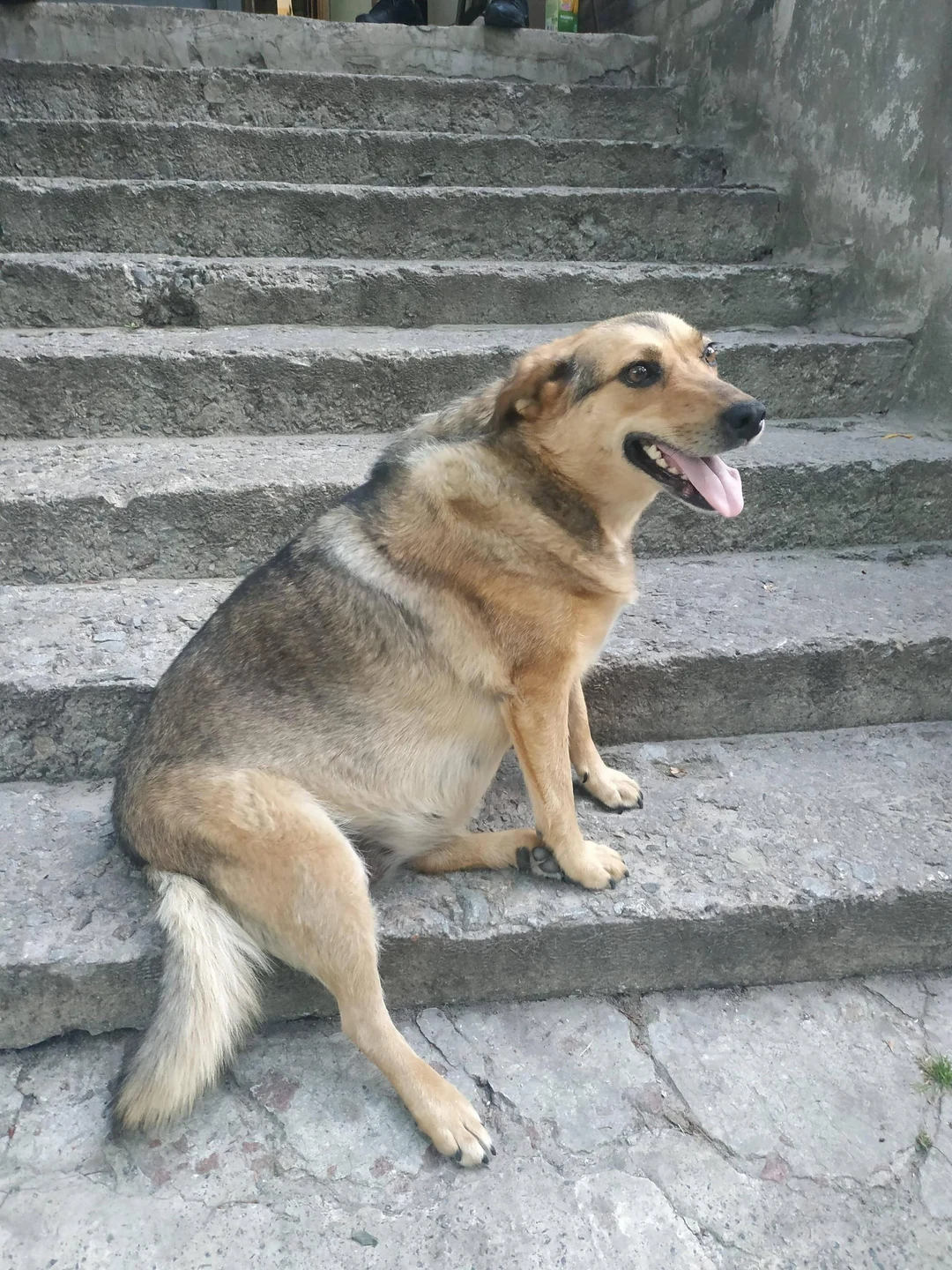 Chunky but happy (OC) | Scrolller