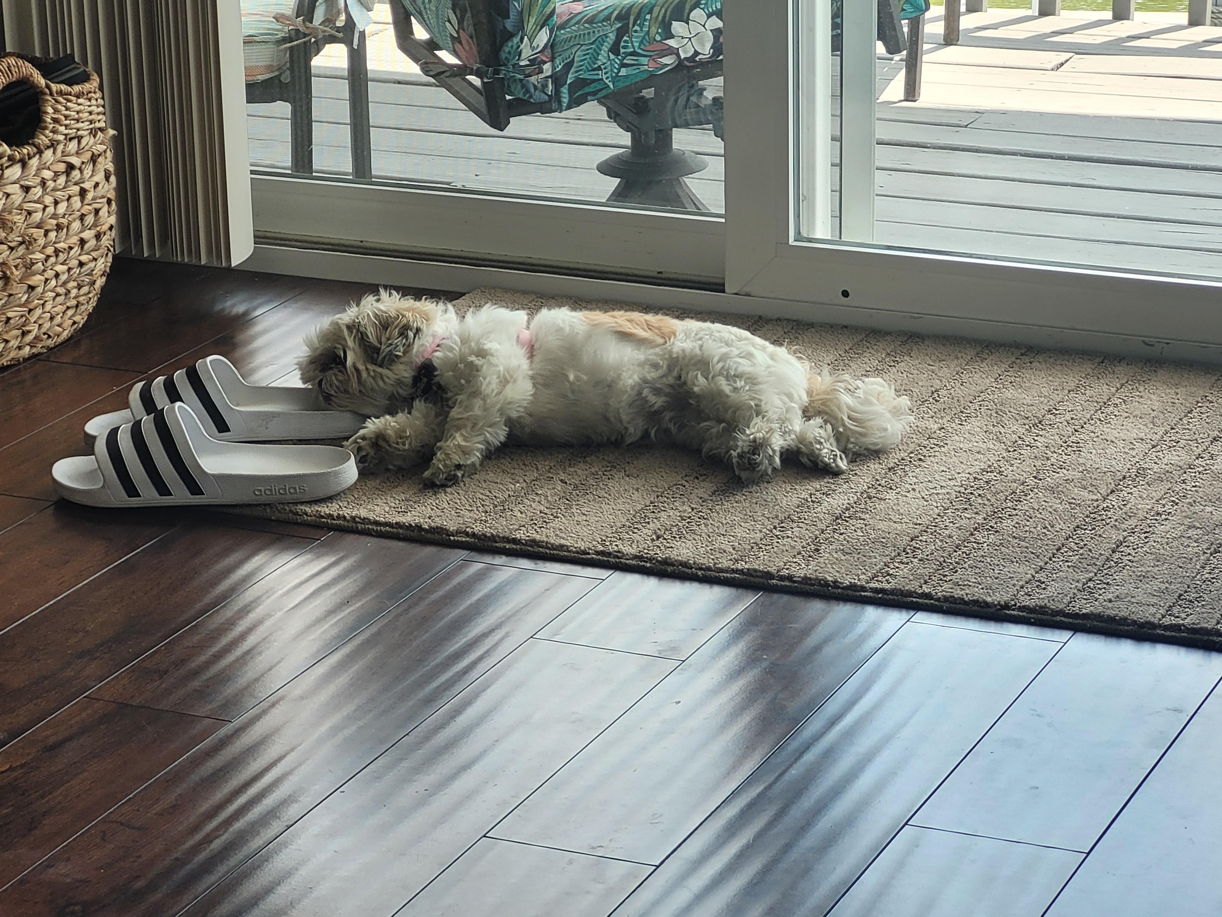 You can't leave if I'm on your flip flop. | Scrolller