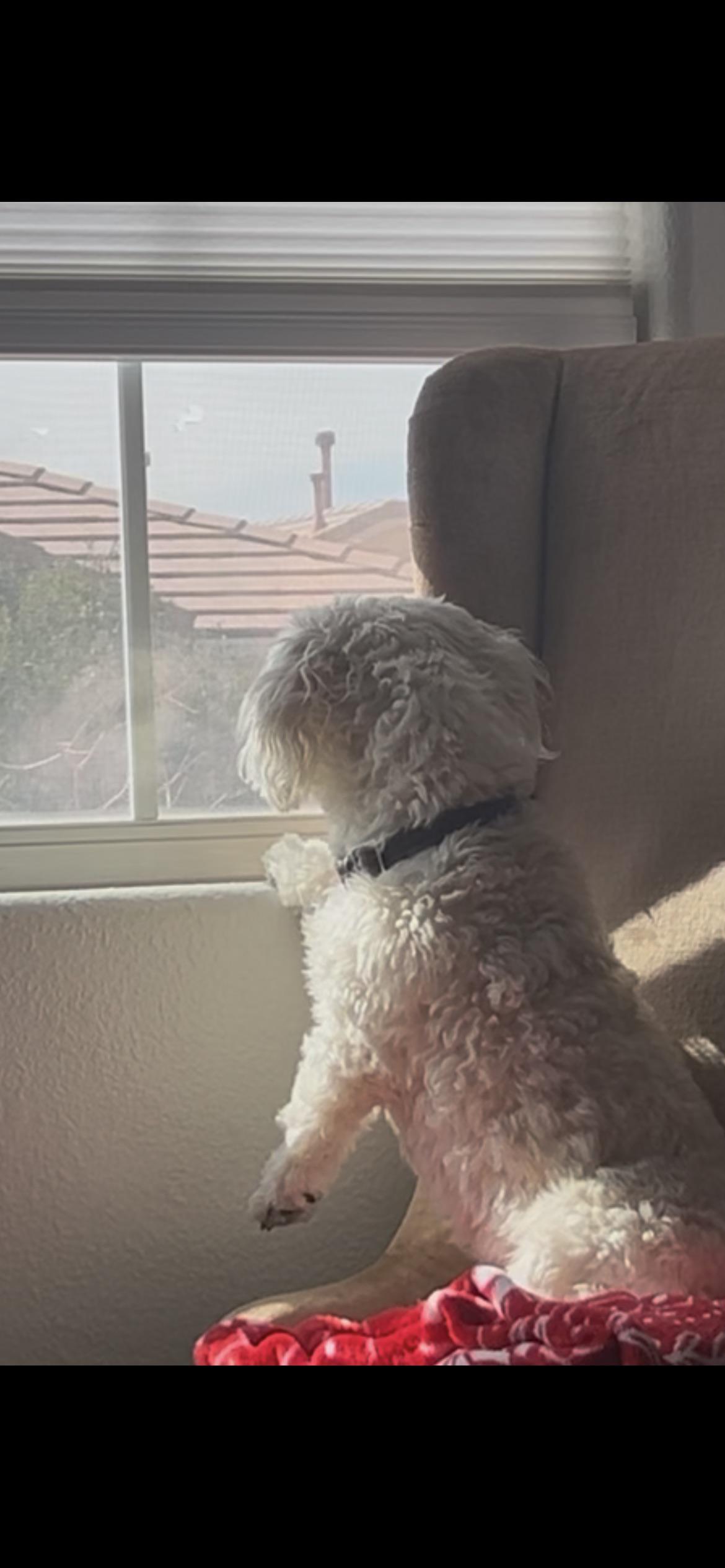 Windows reflection | Scrolller