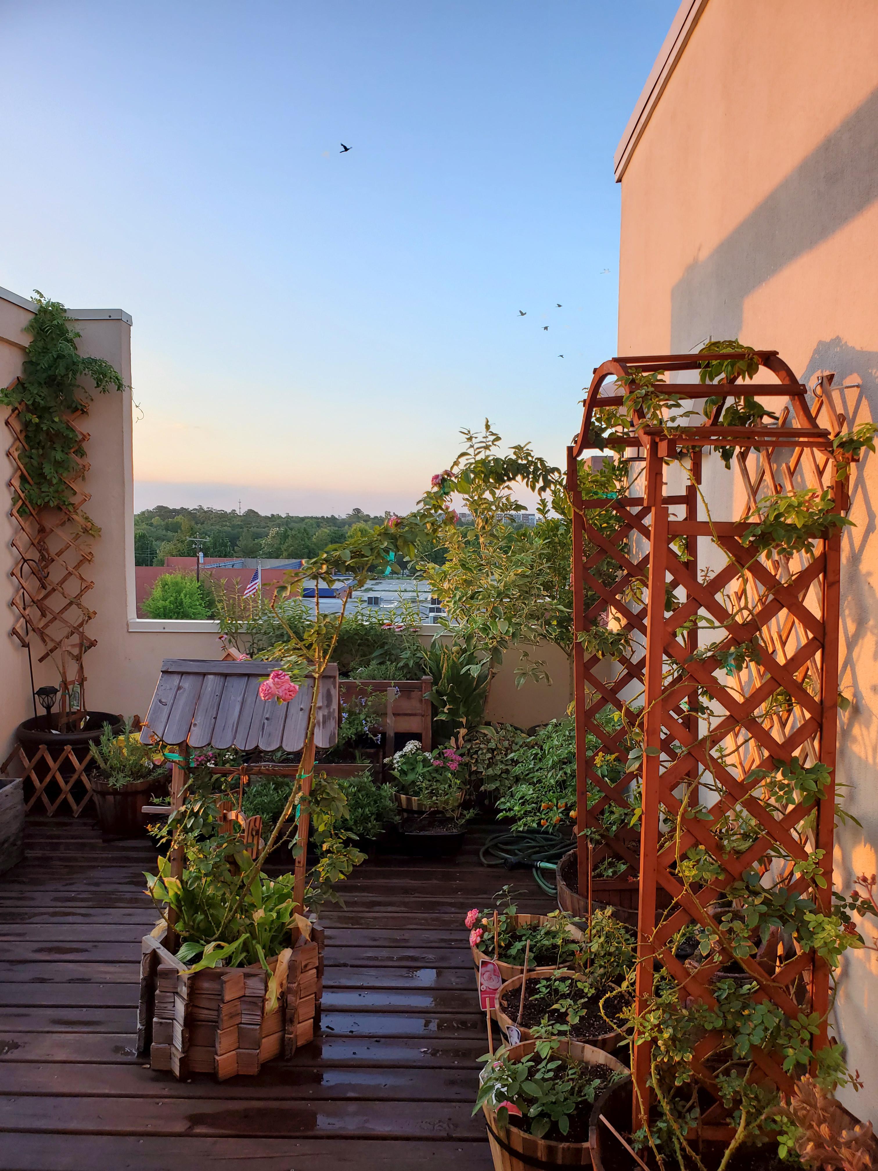 Sultry summer nights in Houston, TX. | Scrolller