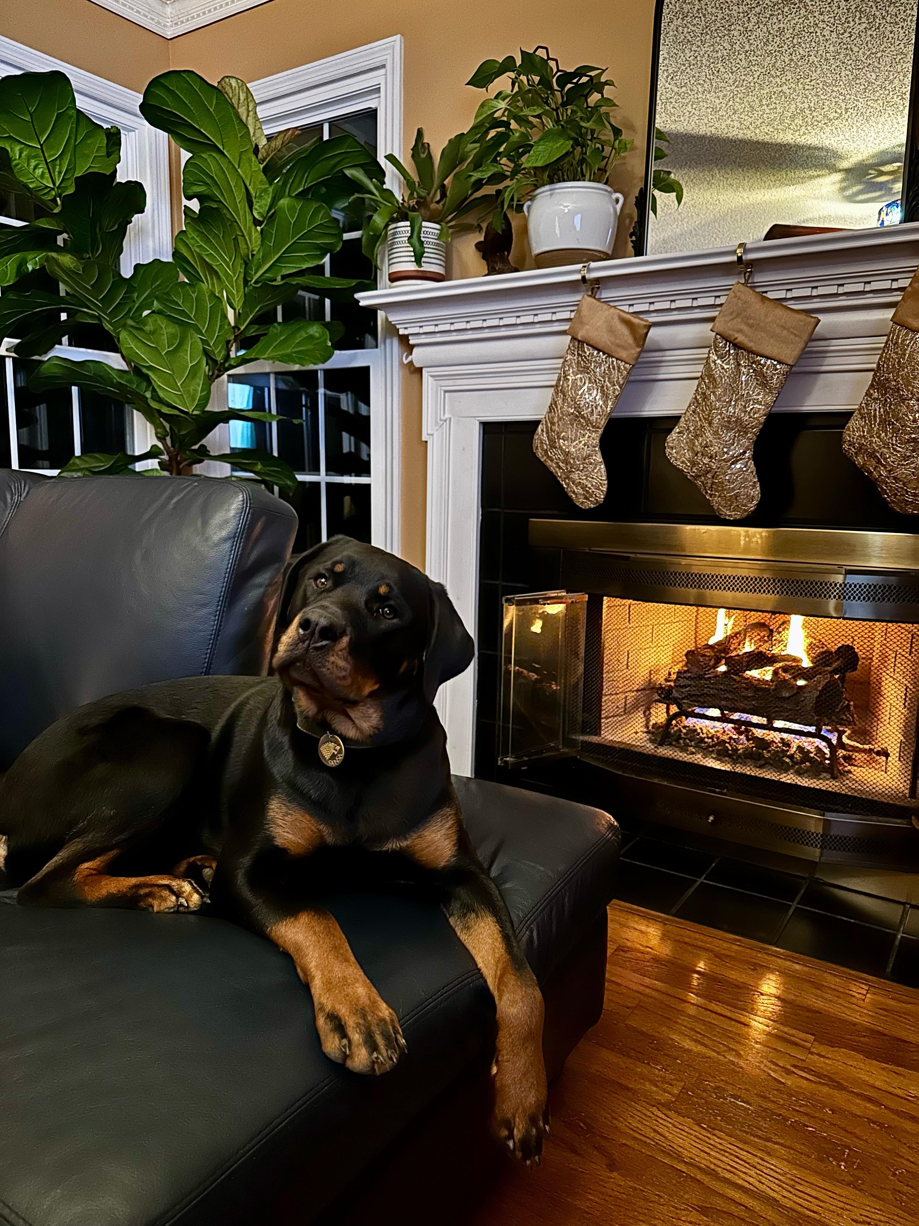 Sansa, Queen of the North | Scrolller