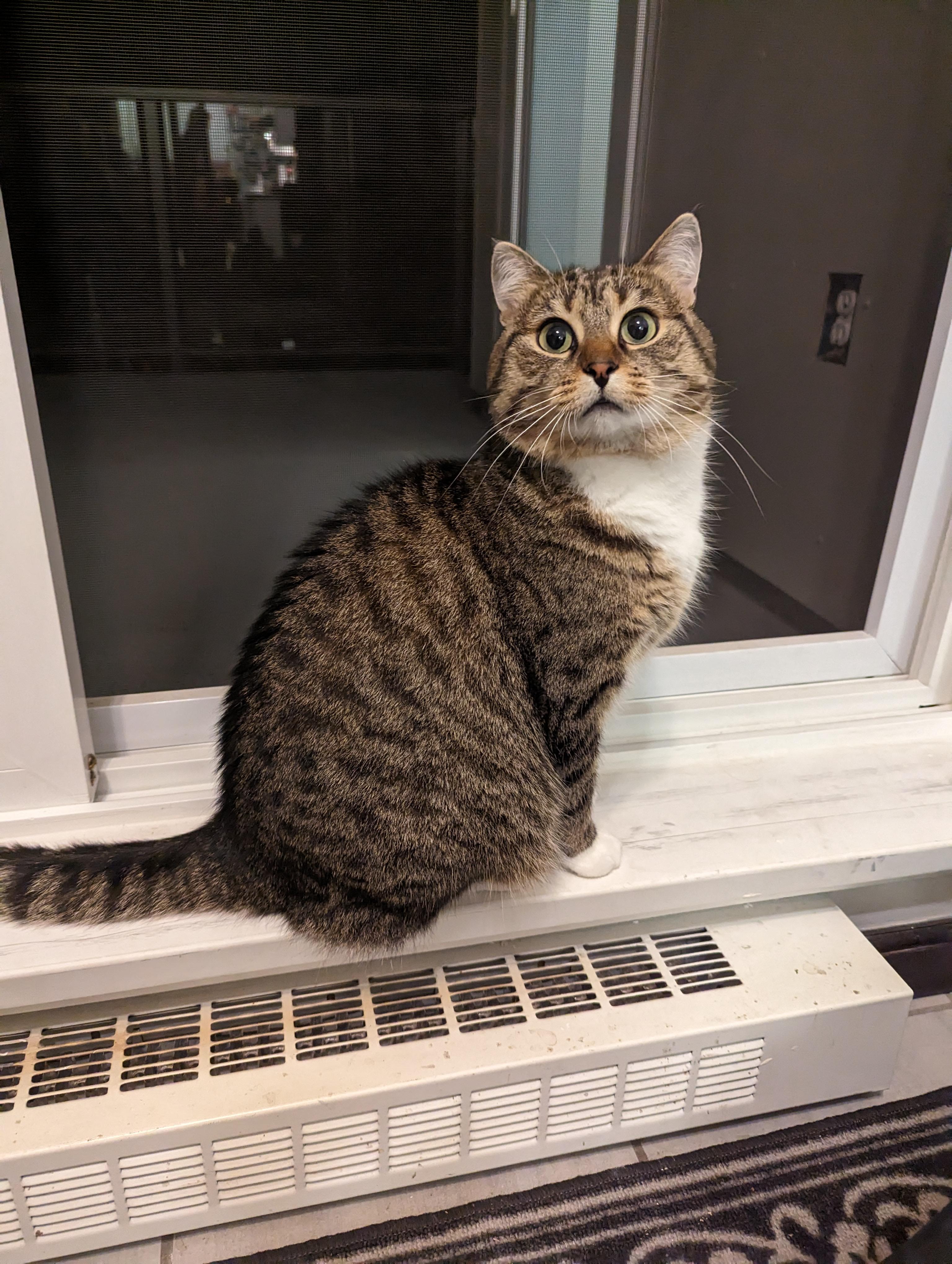 My SIC Cosey | Scrolller