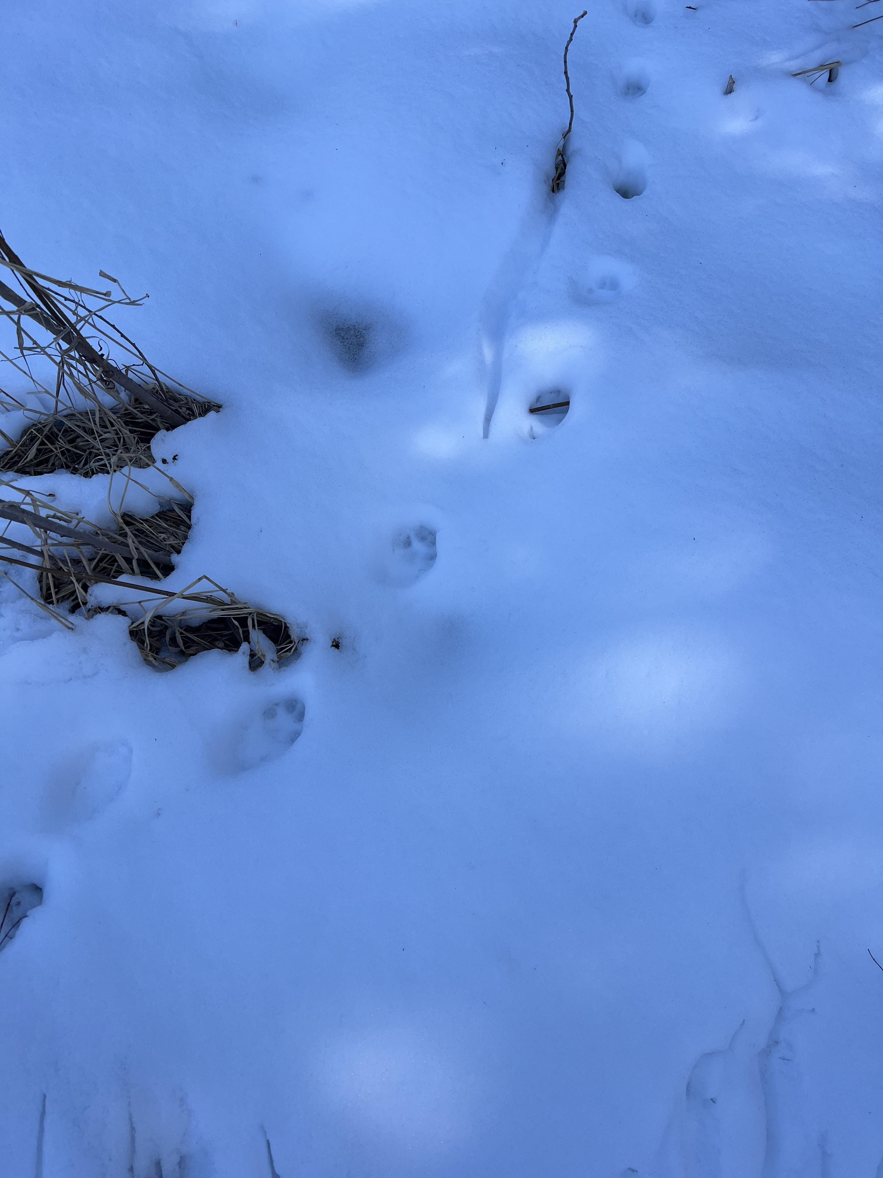 Help me identify | Scrolller