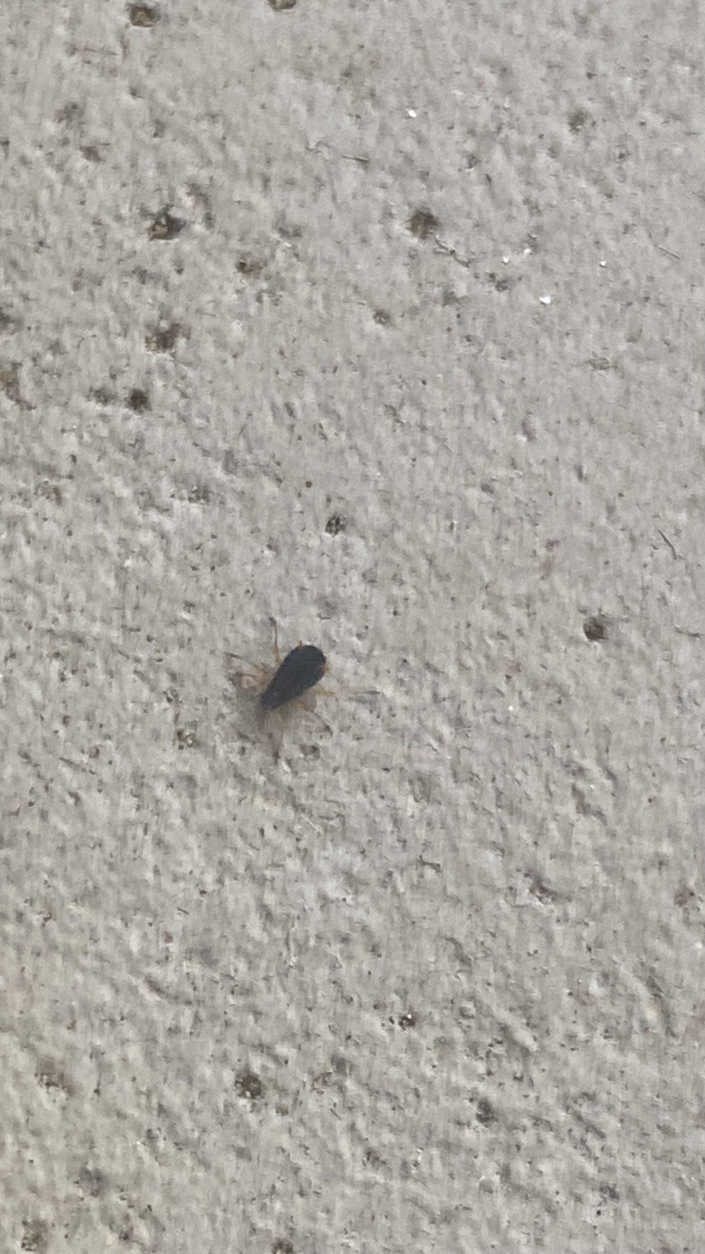 Please help identify | Scrolller