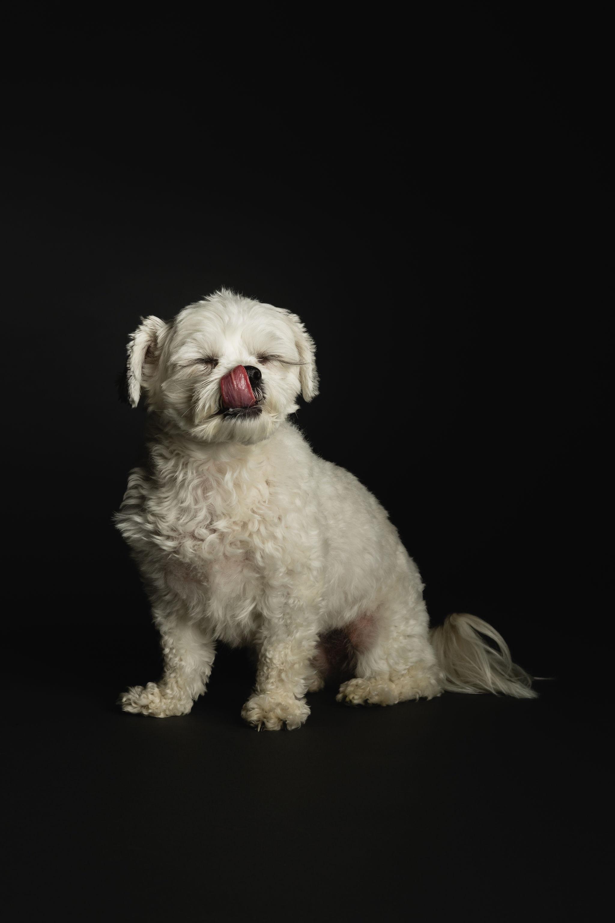 Check out these eyelashes! | Scrolller