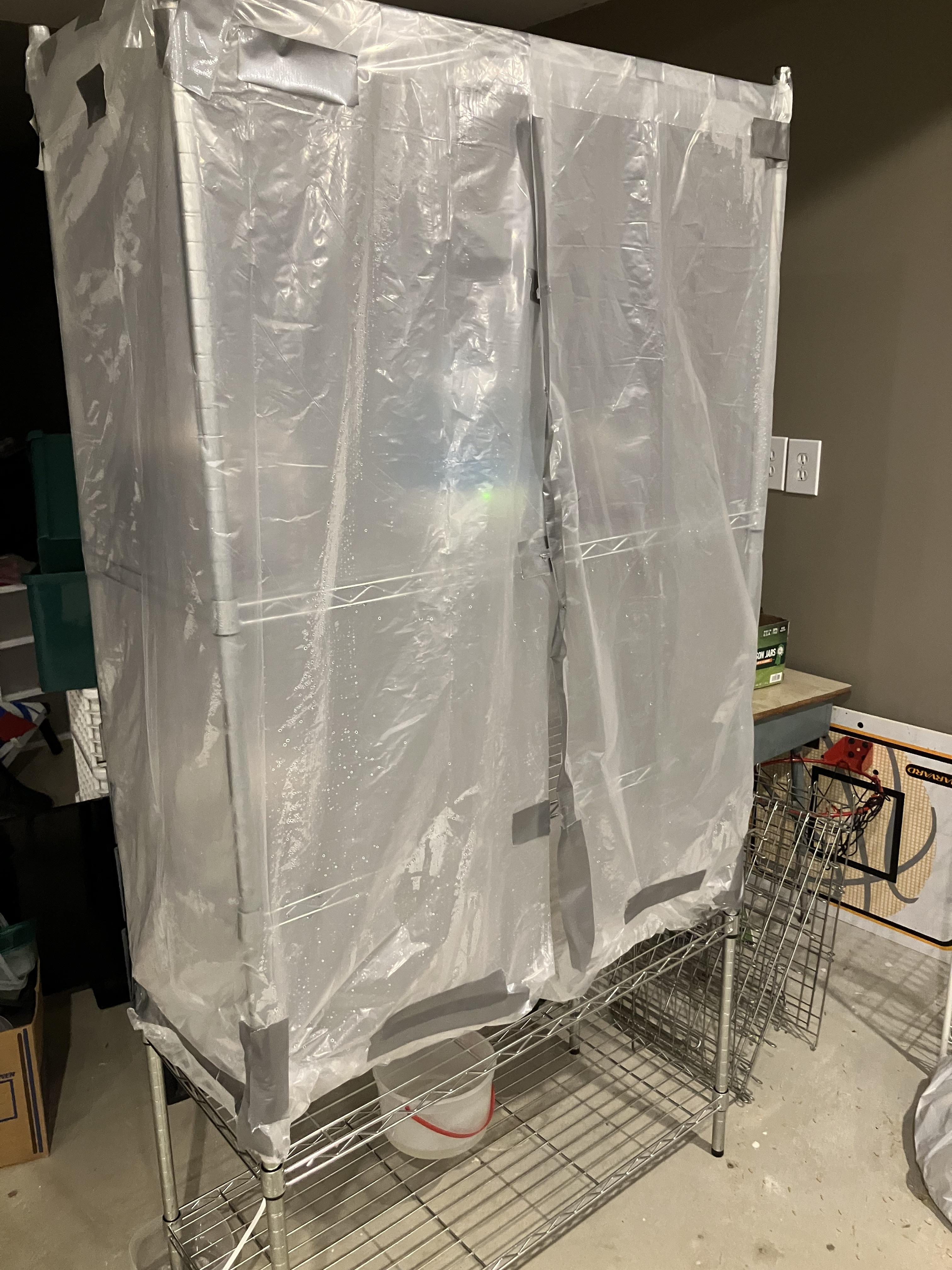 [gourmet] lions mane set up | Scrolller