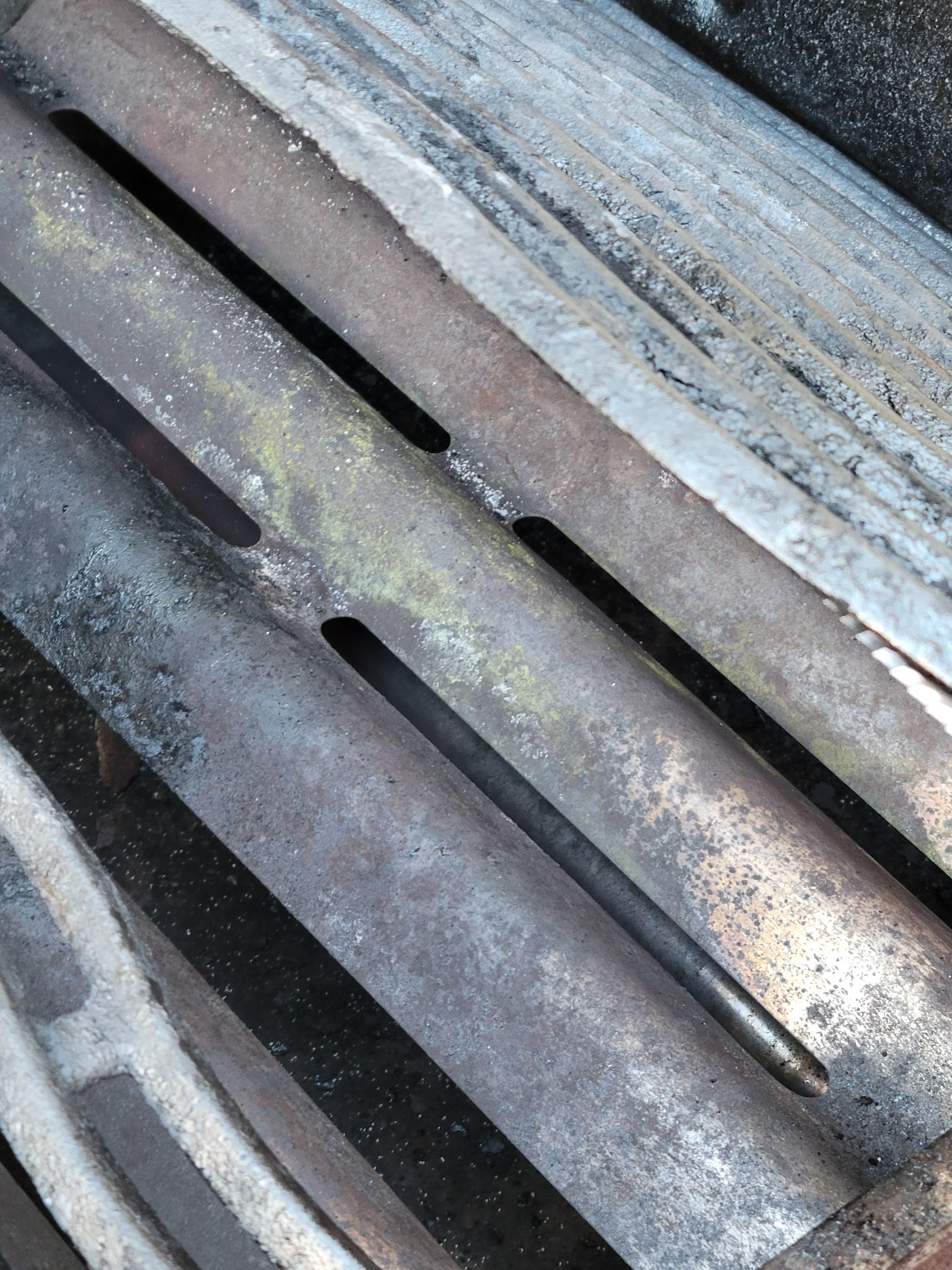 Is this mold? | Scrolller