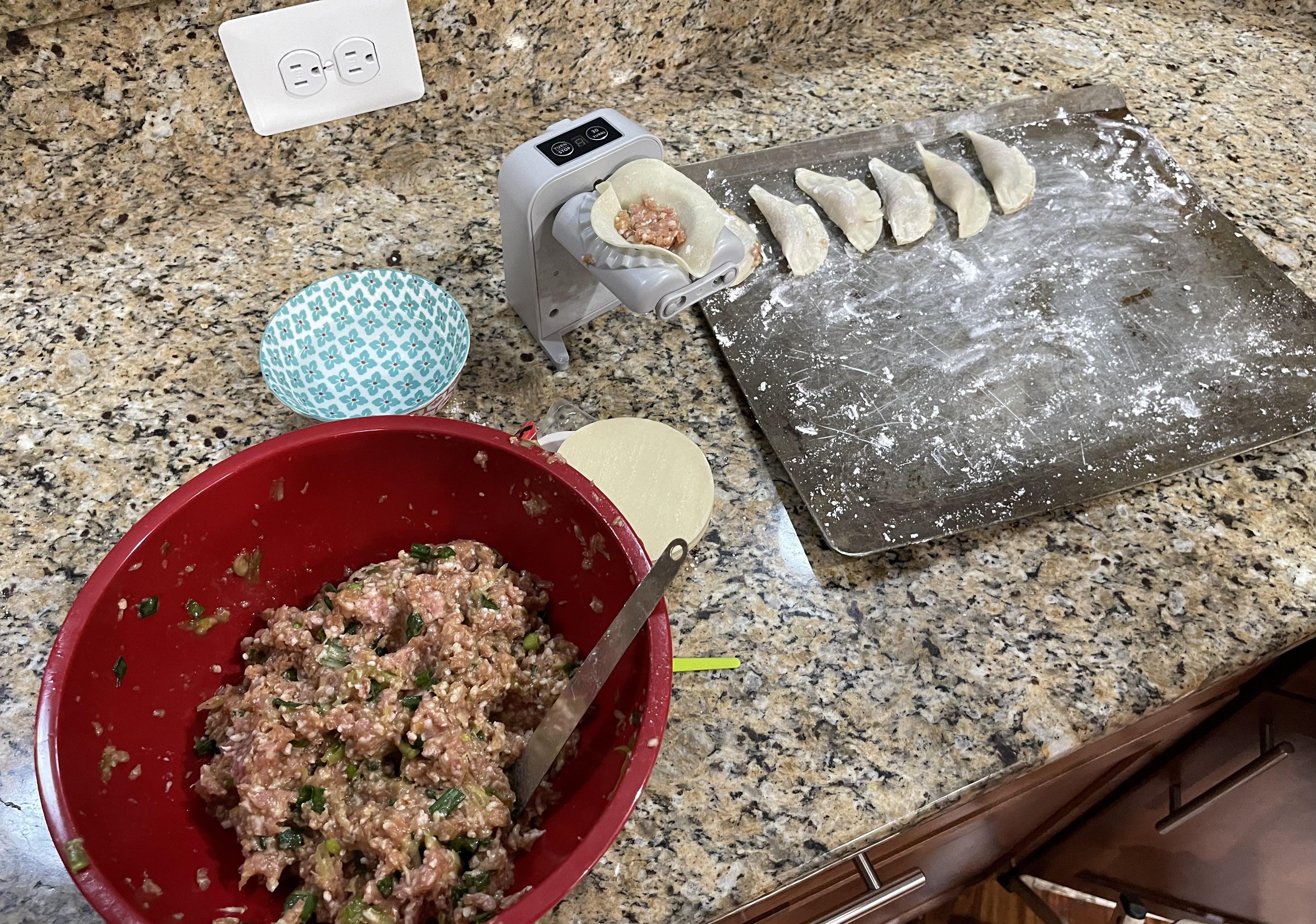 [homemade] fresh pork dumplings | Scrolller