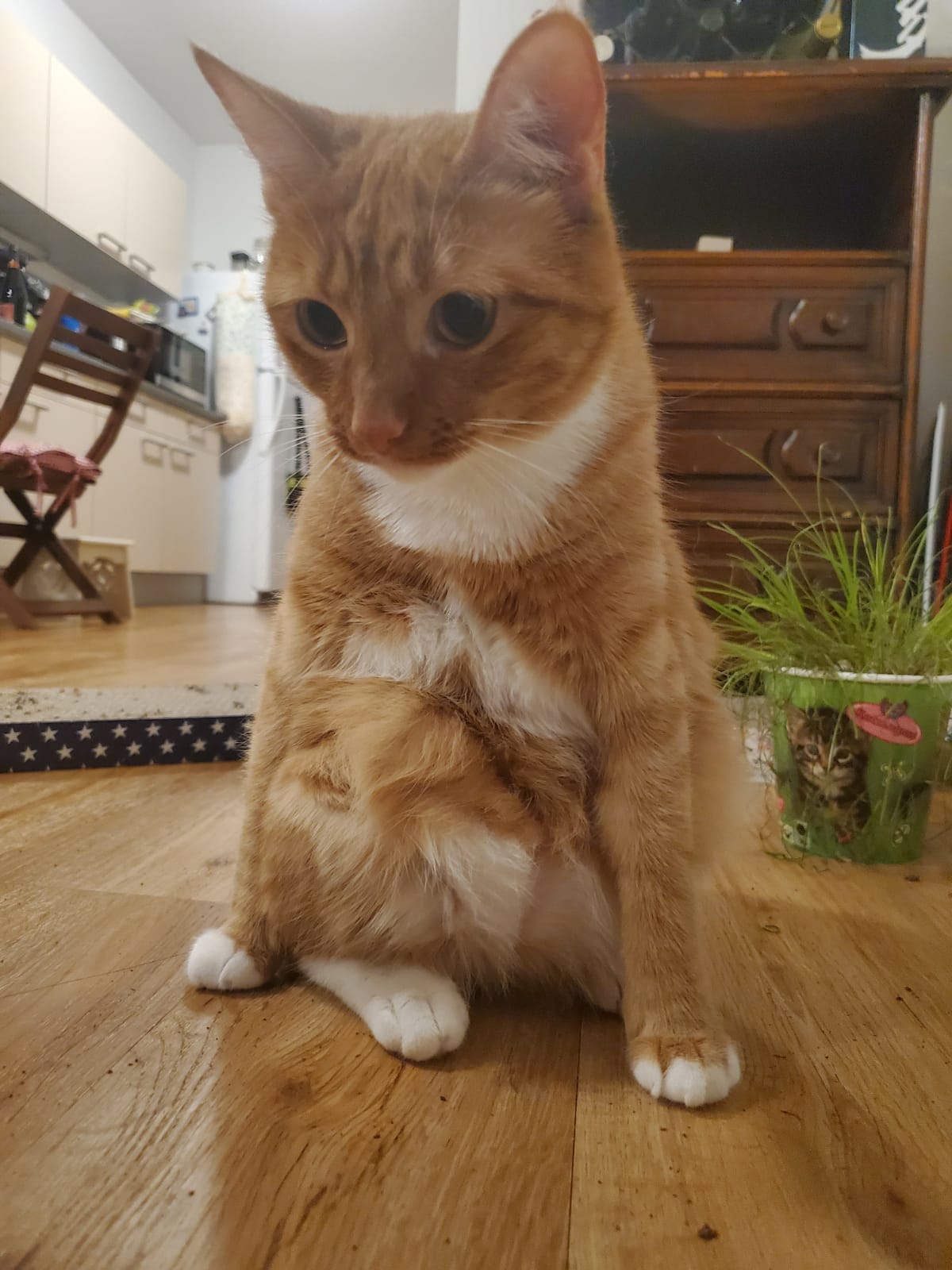 Showing her belly by sitting like a weirdo | Scrolller