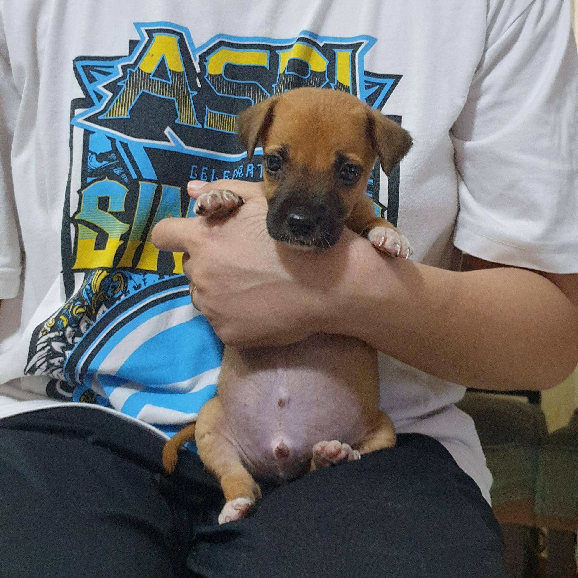 They grow up so fast! | Scrolller