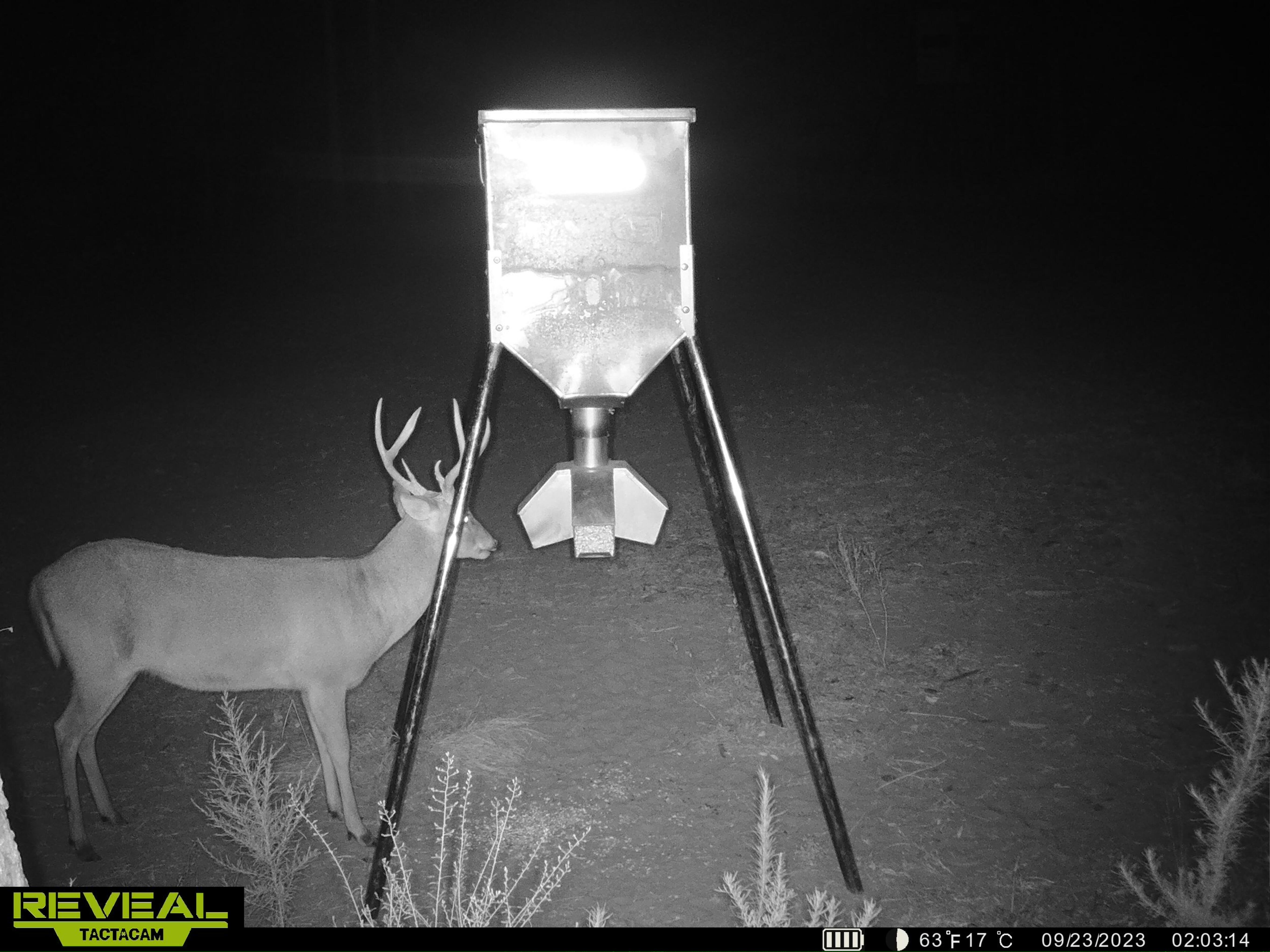 Age on this buck? | Scrolller