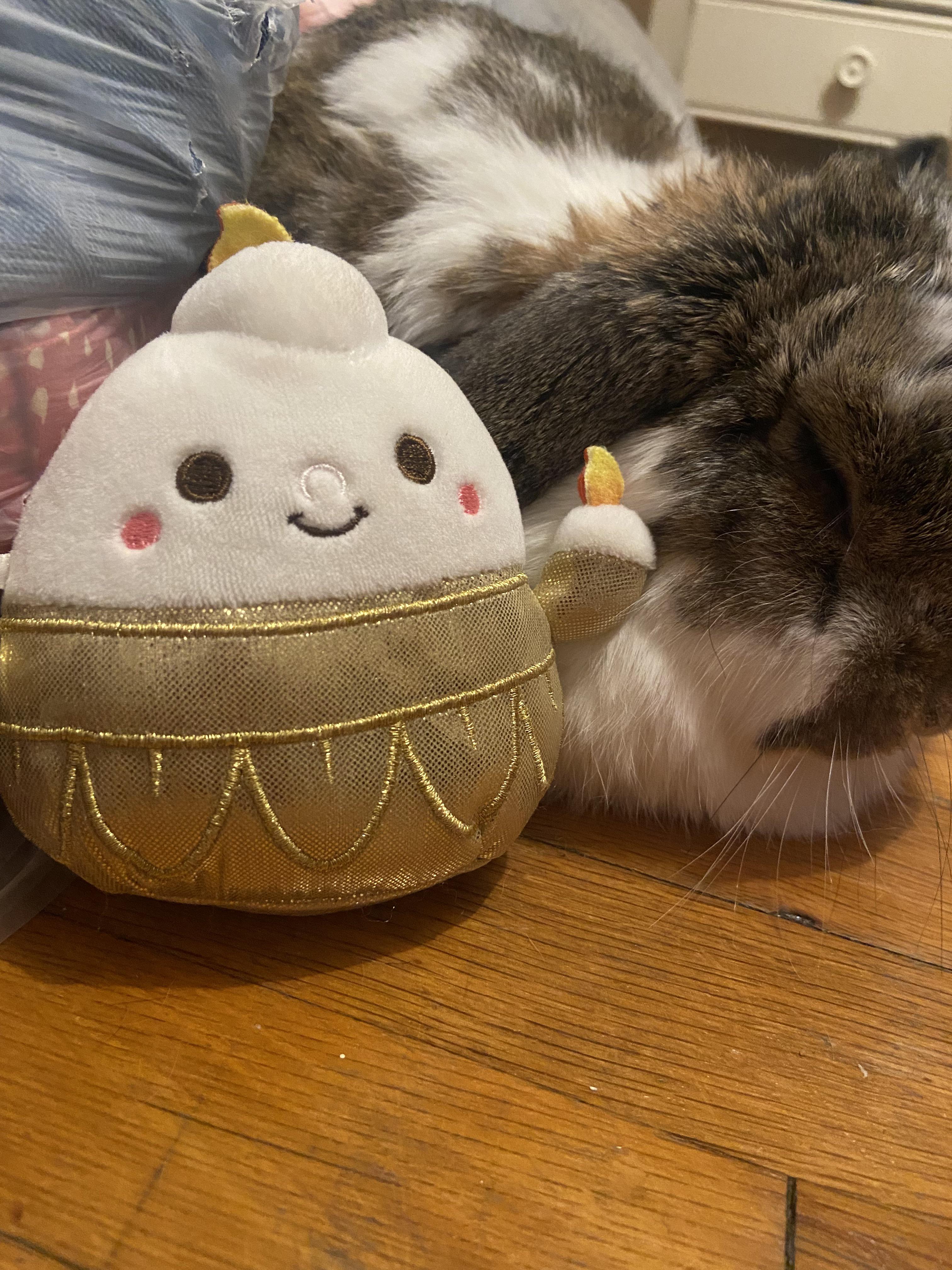 Cuddling with his plushy | Scrolller