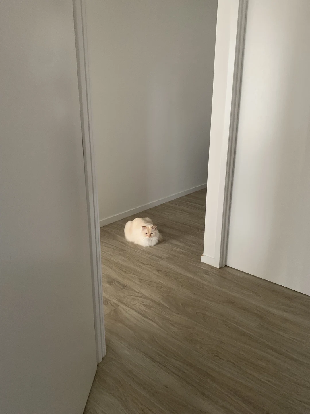 Freshly baked, semi-sentient loaf | Scrolller