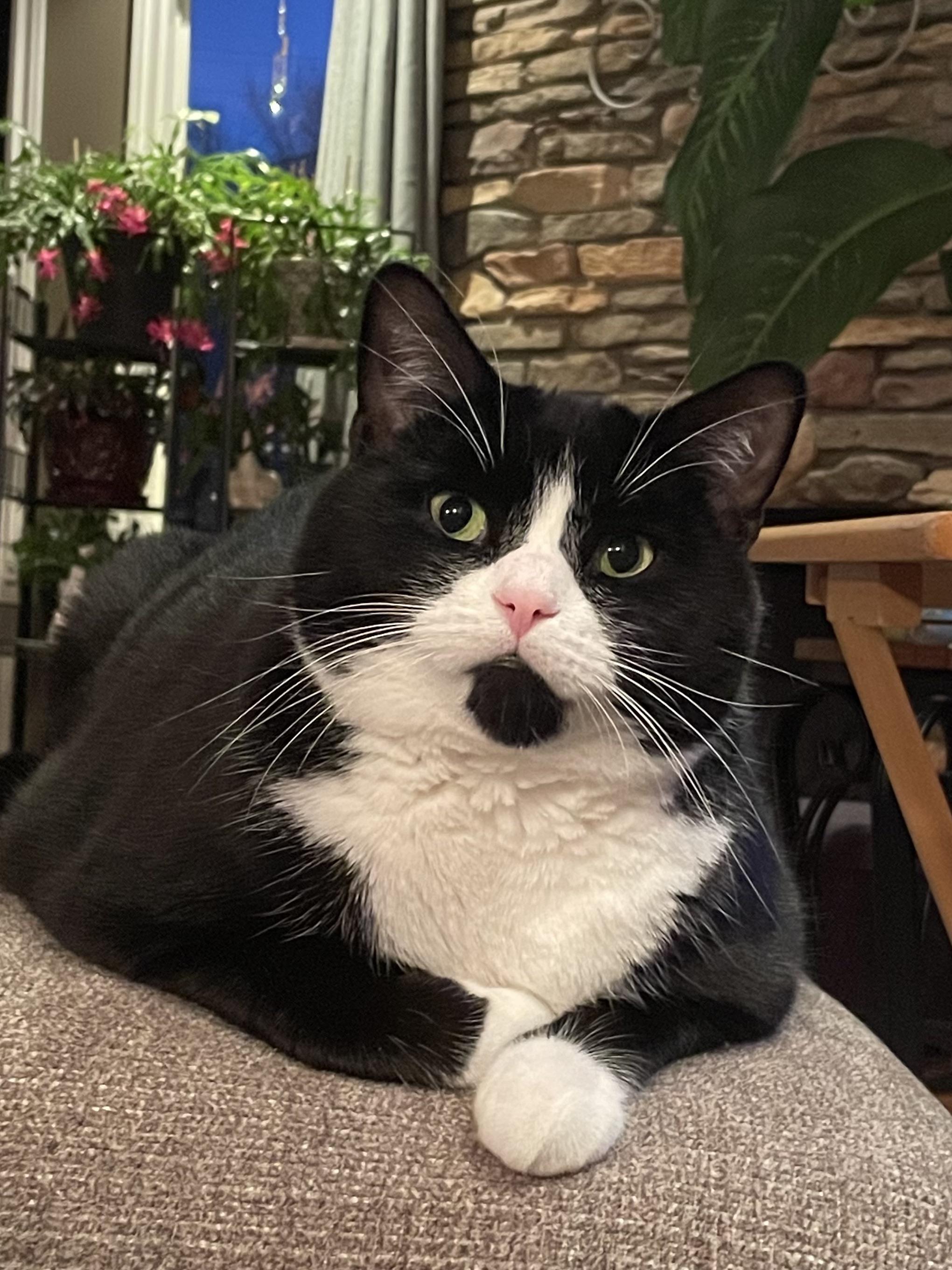 You have noms? | Scrolller