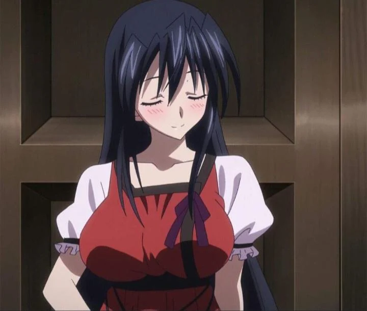 Akeno Himejima wearing her street outfit. [Highschool DXD BorN] | Scrolller