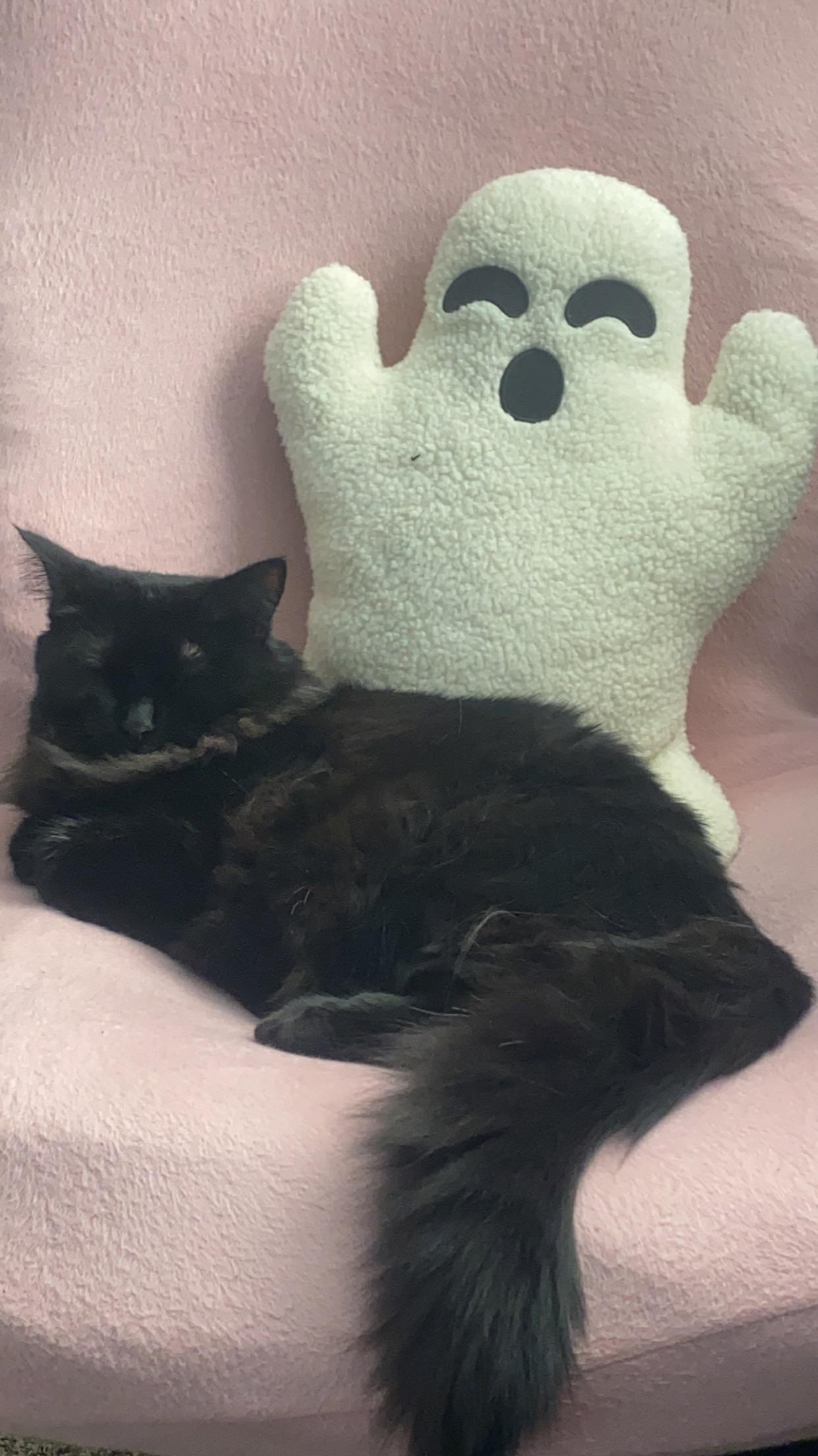 Spooky void | Scrolller