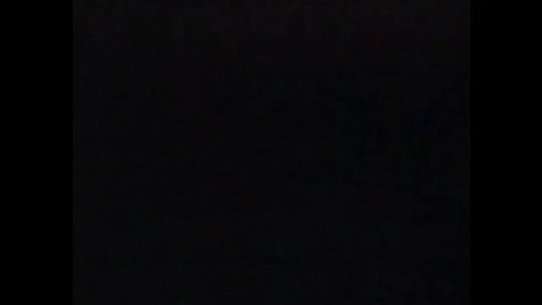 BRING IN THE CONTAINMENT SQUAD | Scrolller