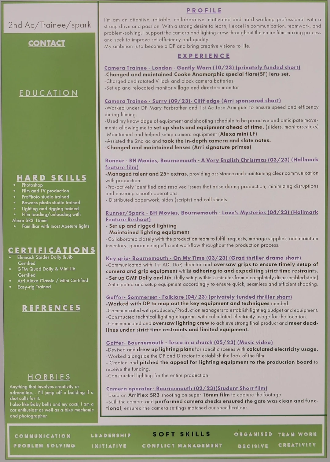 What are your professional opinions of my CV? | Scrolller