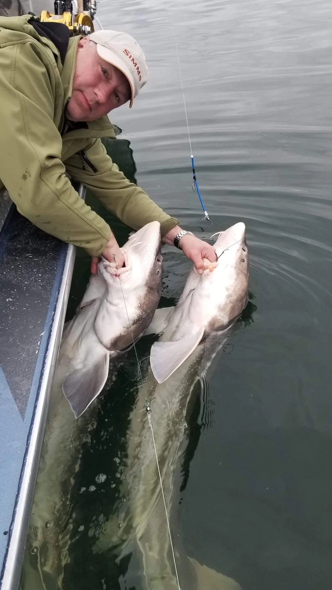 Double header sturgeon | Scrolller