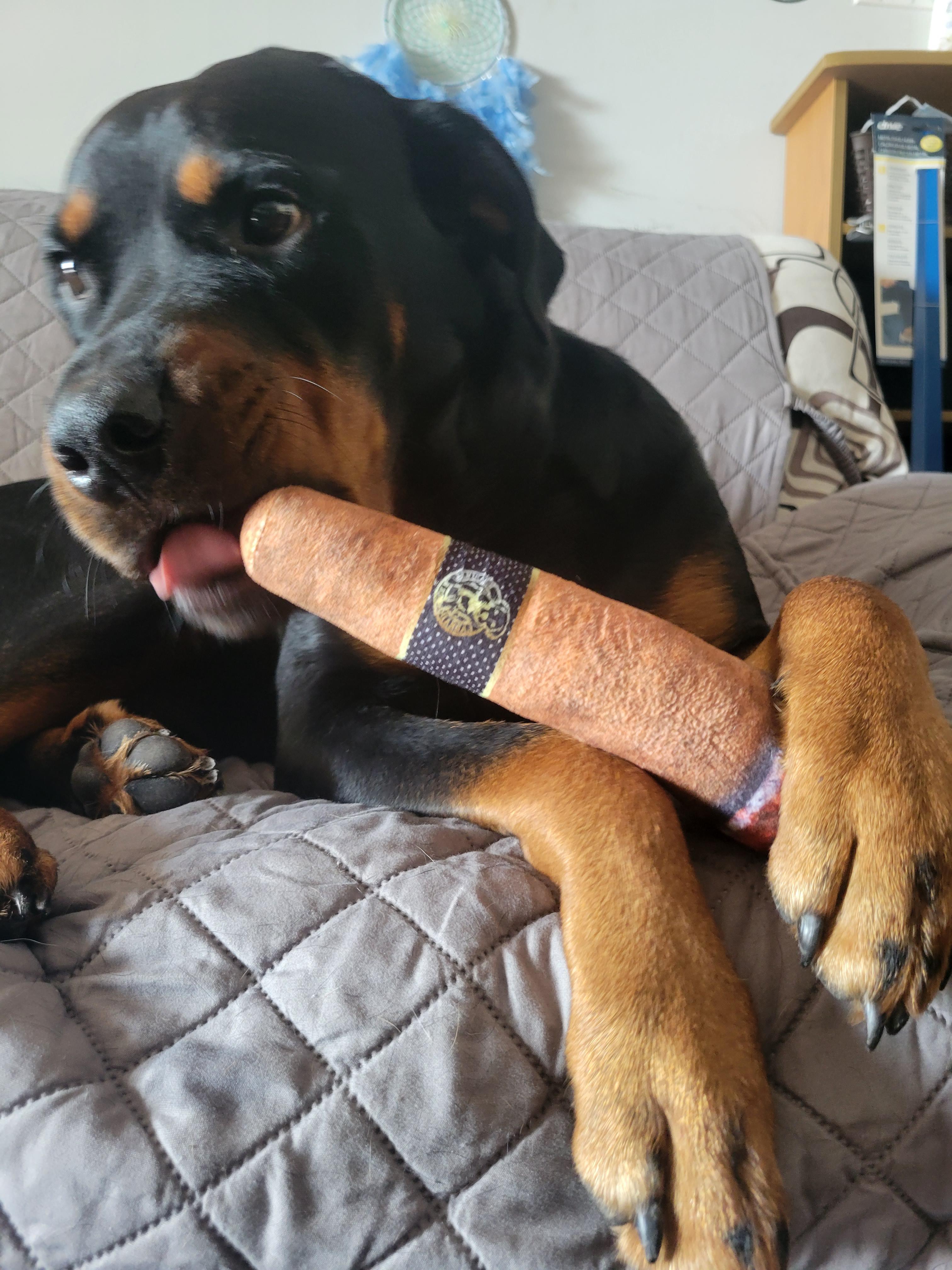 Got him a toy joint | Scrolller