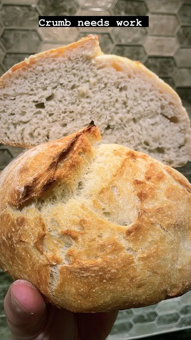 Discover more like Breadit: Crumb needs work and Related Content | Scrolller