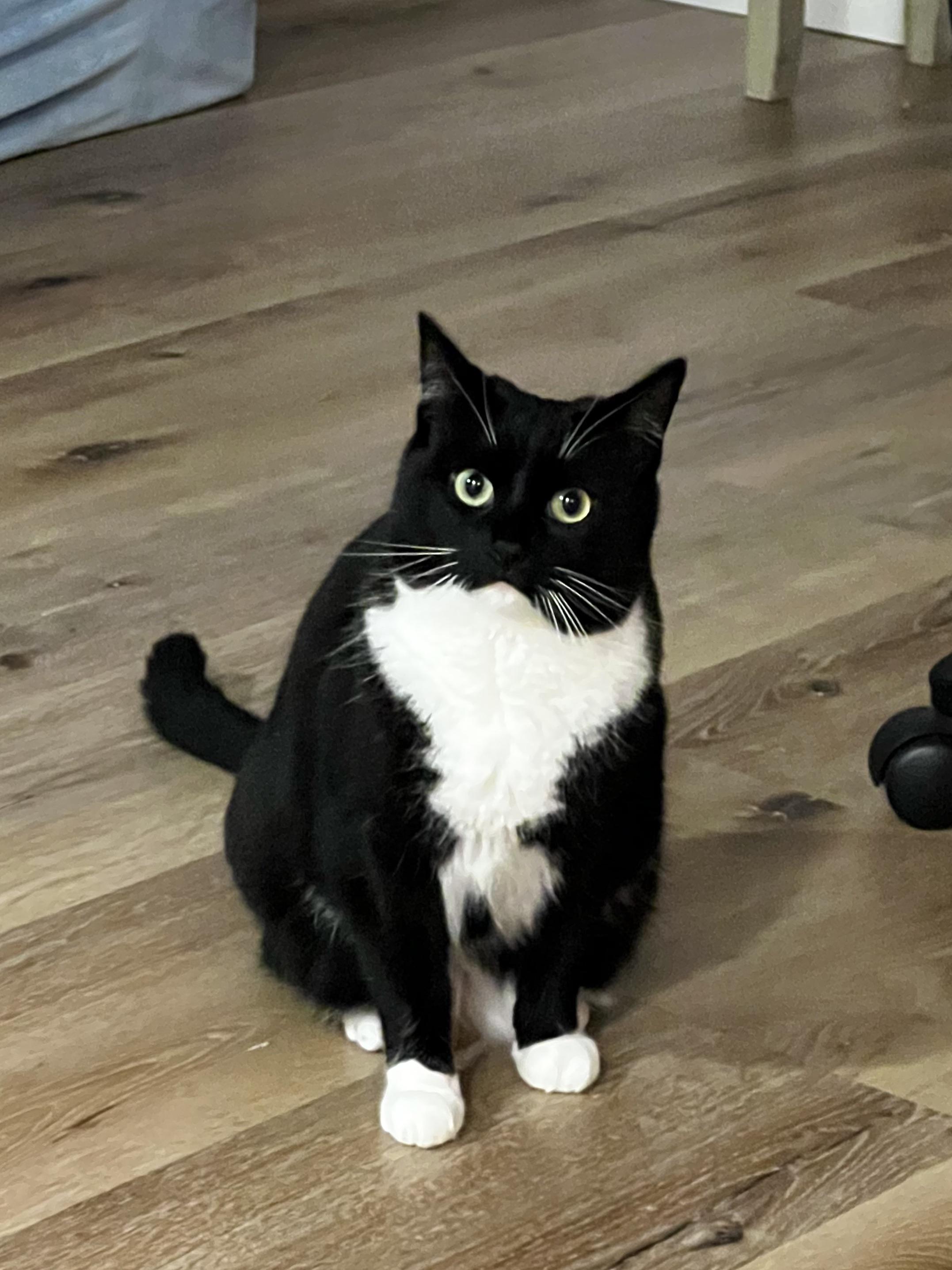 No thoughts | Scrolller