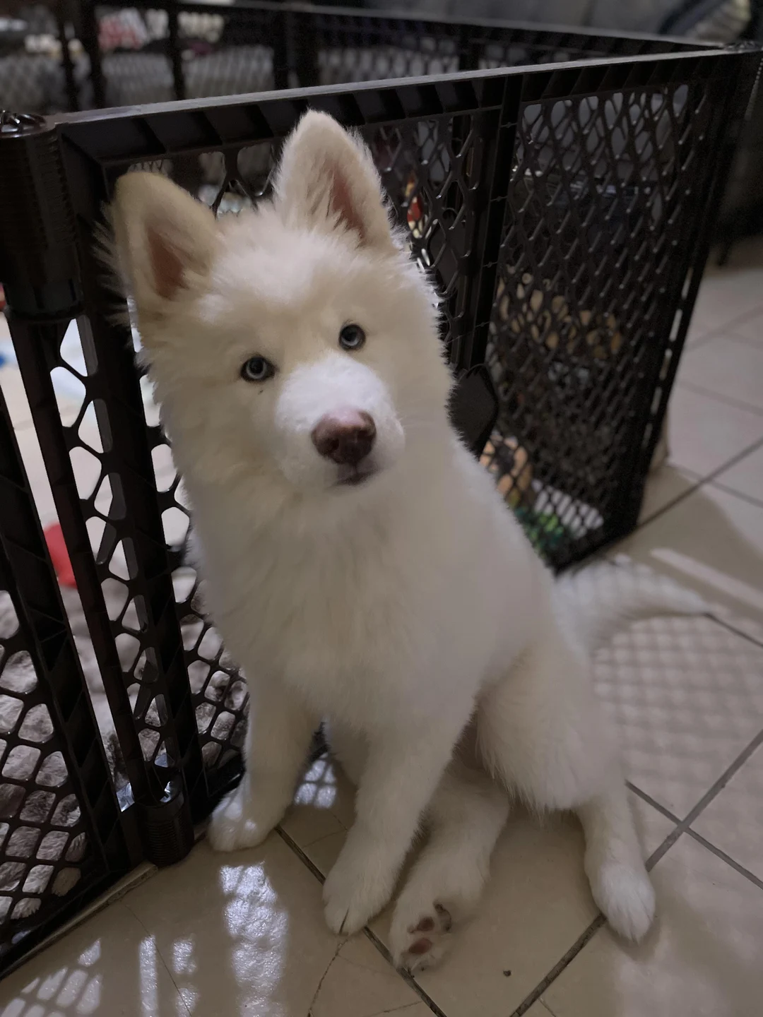 A very distinguished gentleman | Scrolller