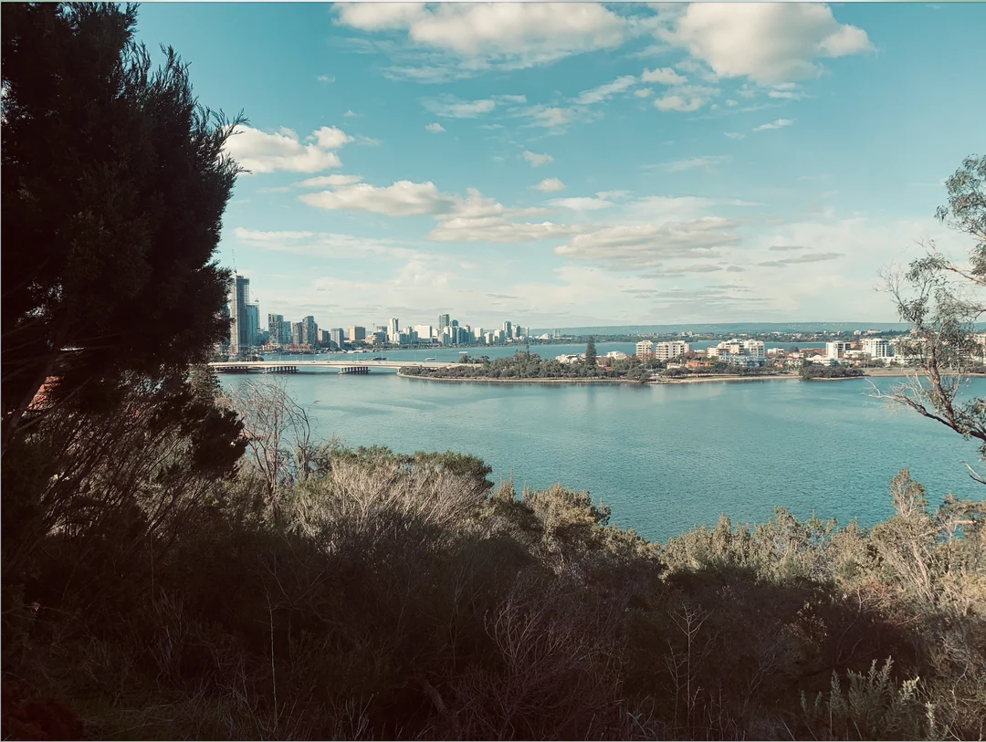 View of Perth from Kingspark (Western Australia) | Scrolller