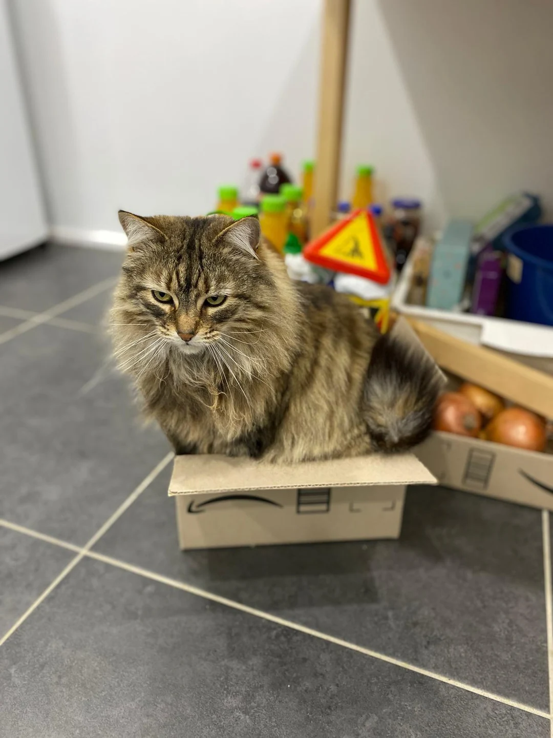 Ralph 💜 | Scrolller