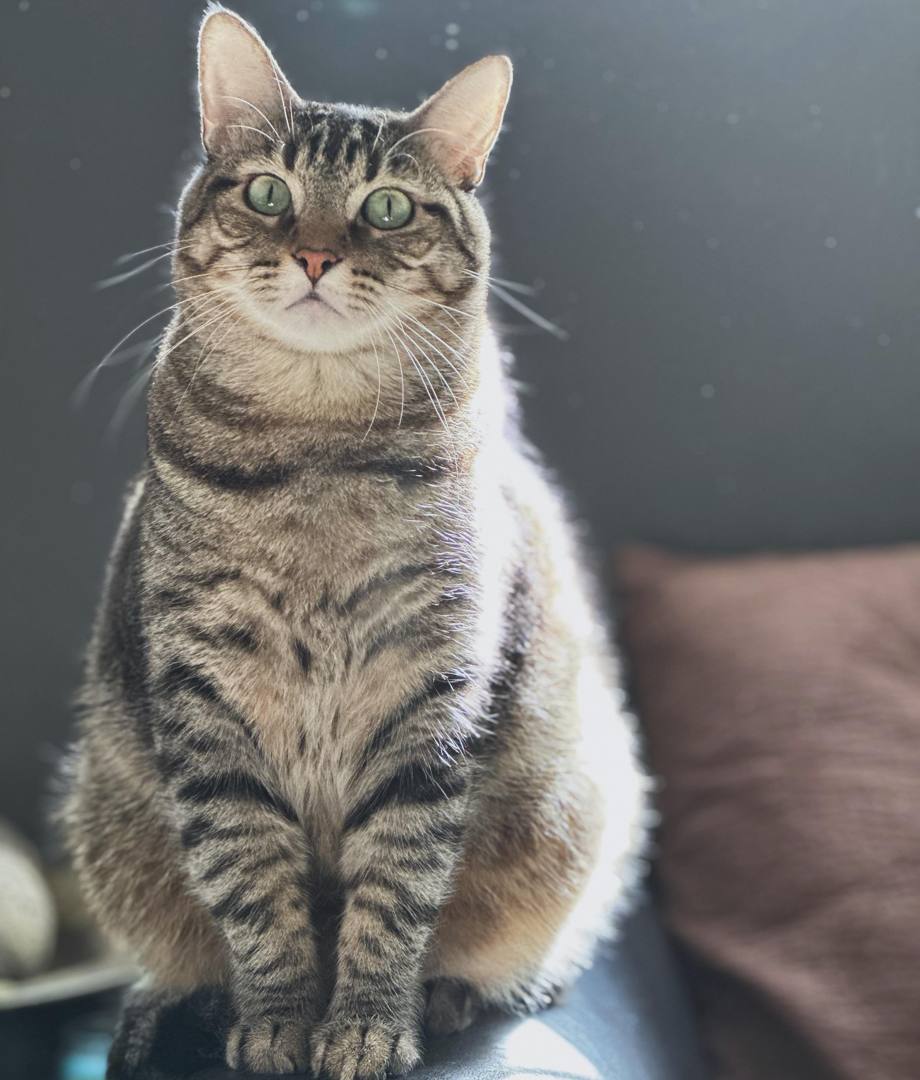 Kichiro. 🍀 | Scrolller