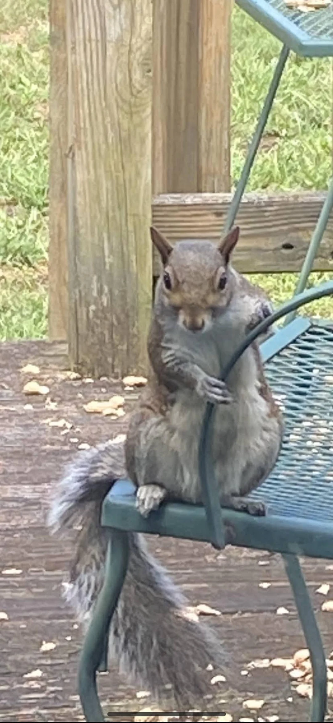 Meet Oliver 🥰 | Scrolller