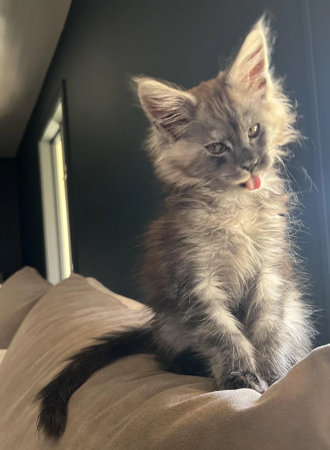 Perfectly captured Roger today. | Scrolller