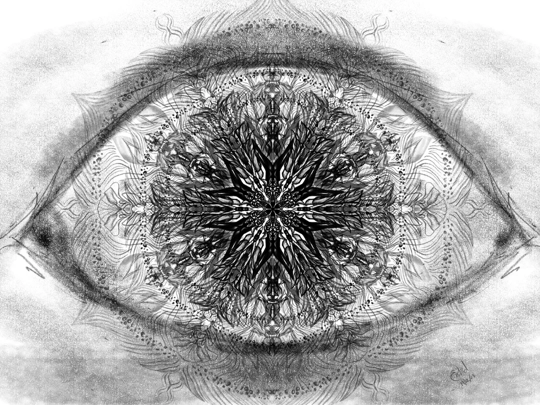 Full bloom | Scrolller