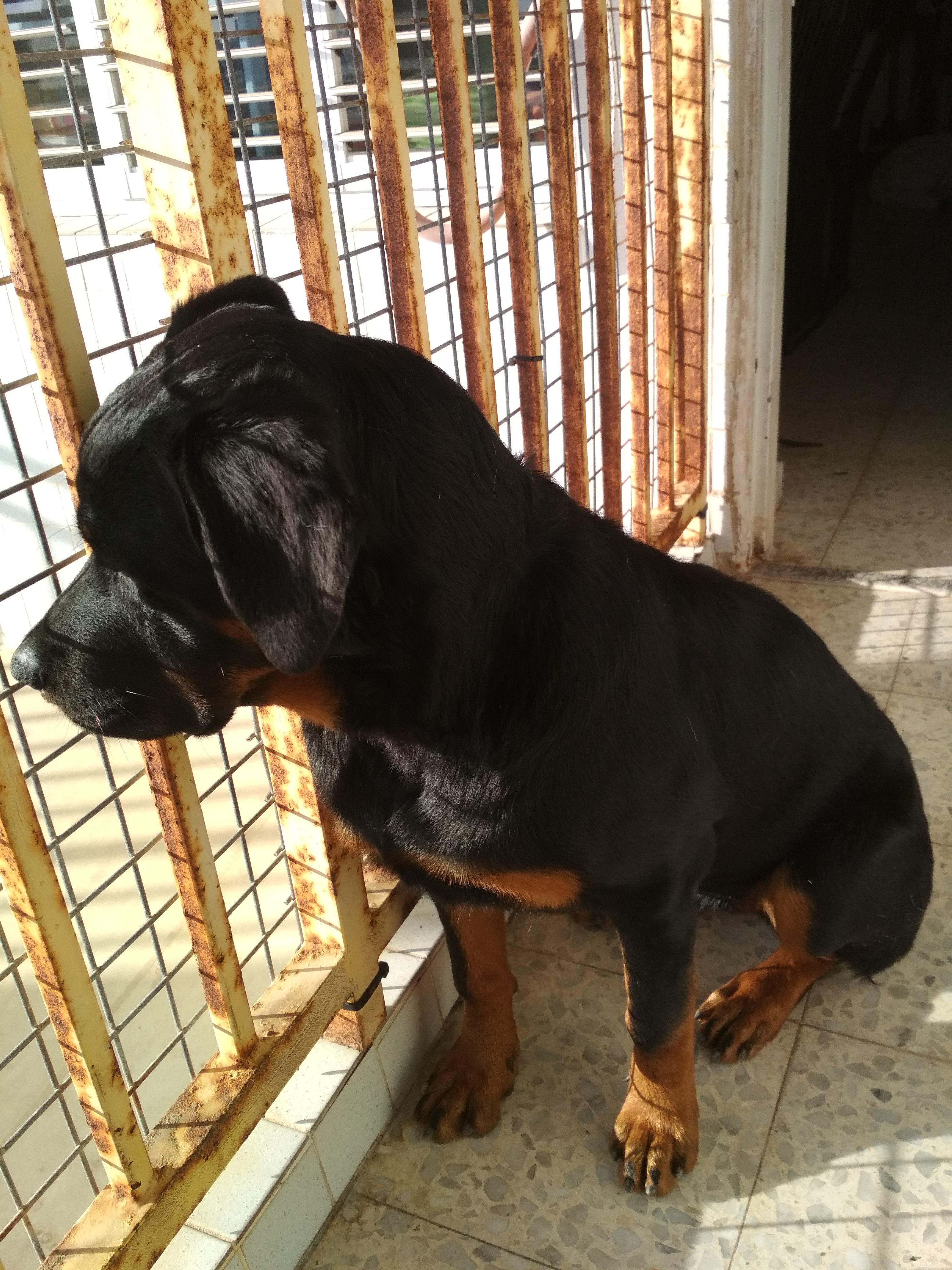 Sultana Watching traffic | Scrolller