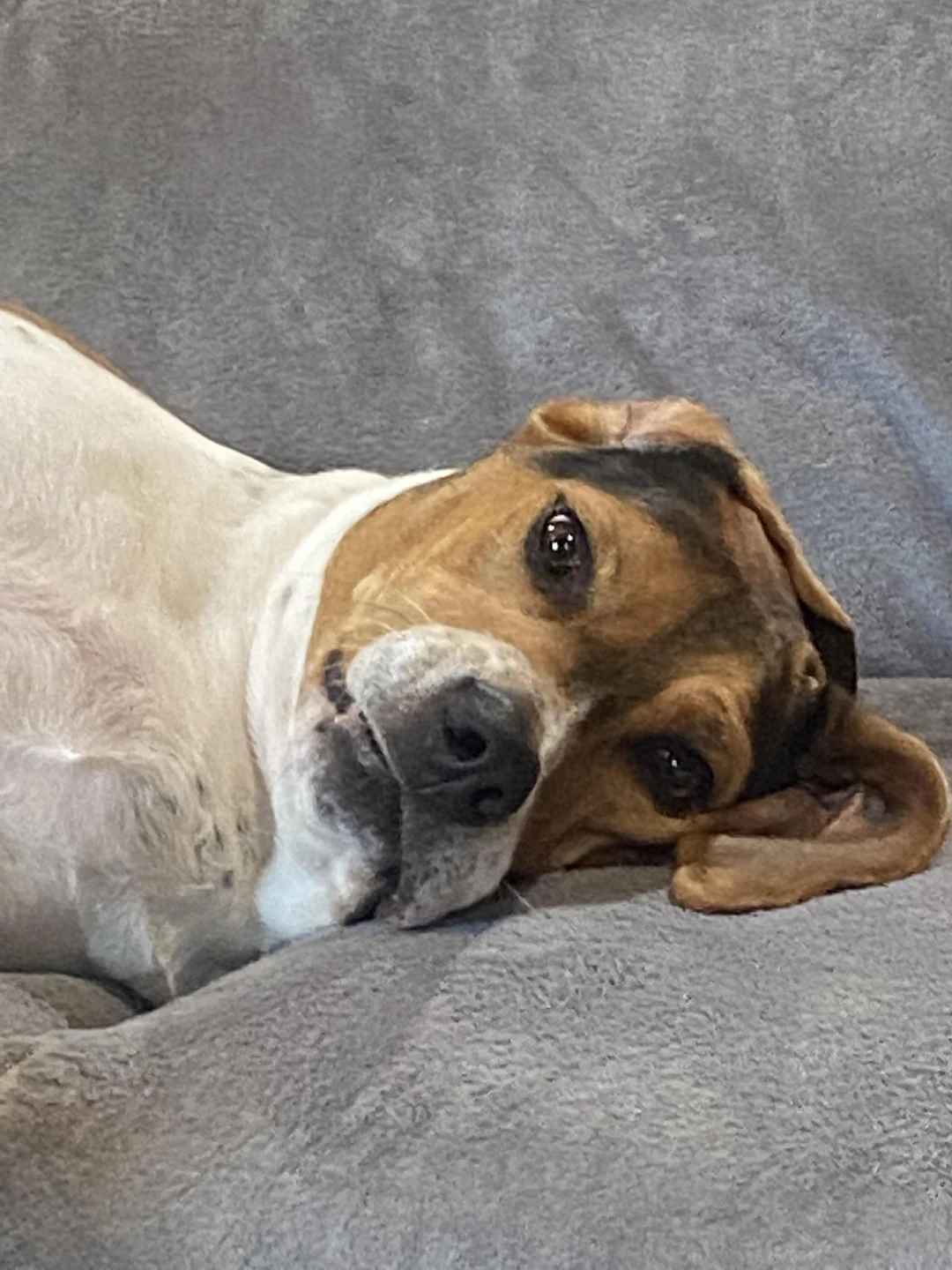 She’s melting | Scrolller