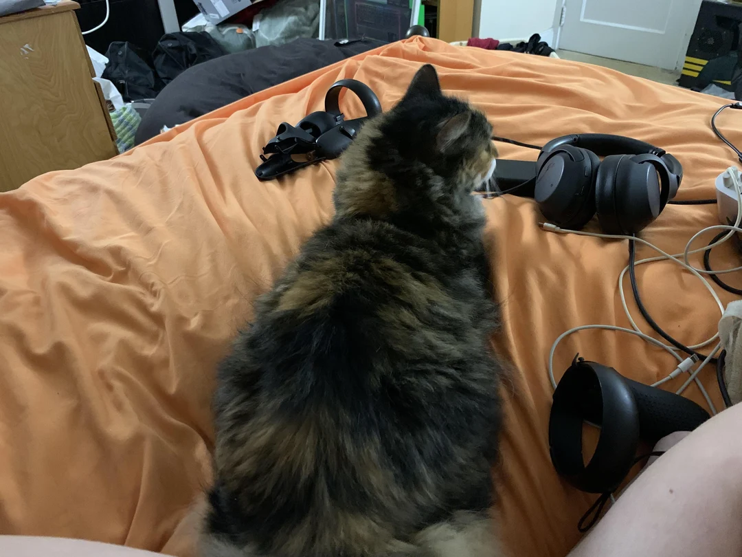 Bed loaf | Scrolller