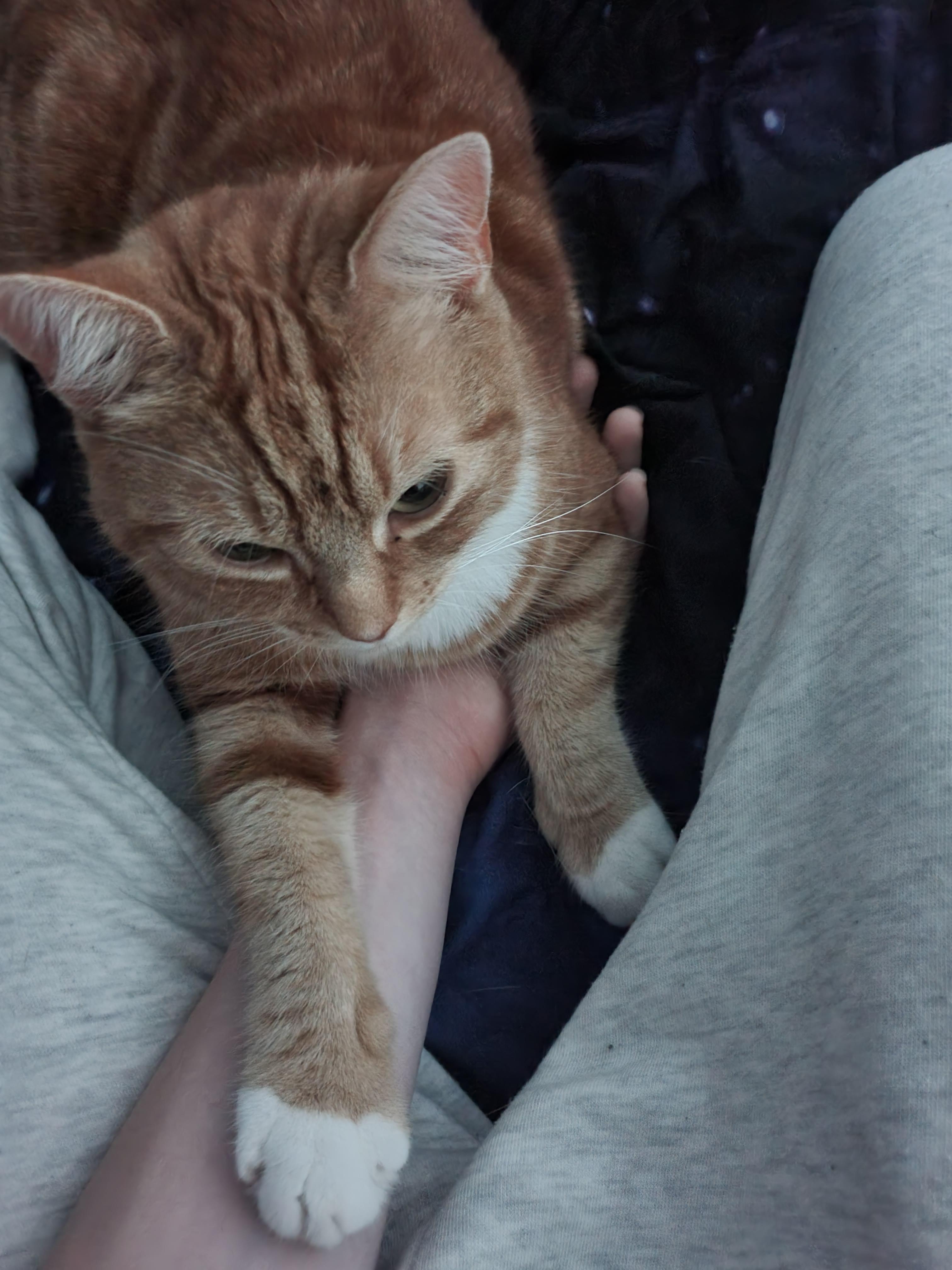 my hand is trapped :( | Scrolller