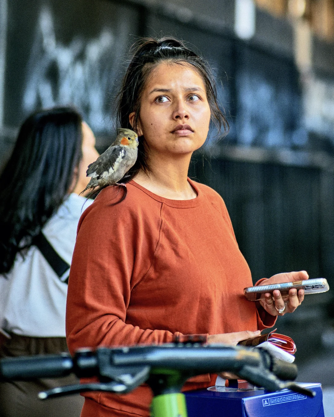 Birdwatching on sunset strip, LA | Scrolller