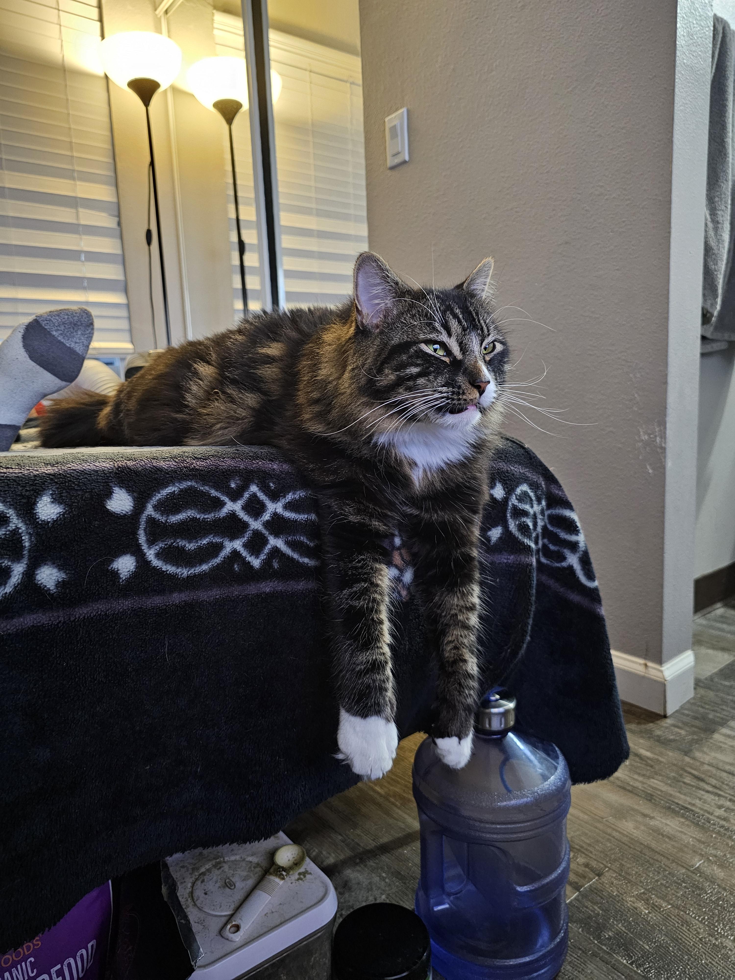 Discover more like Aww: My little derps and Related Content | Scrolller