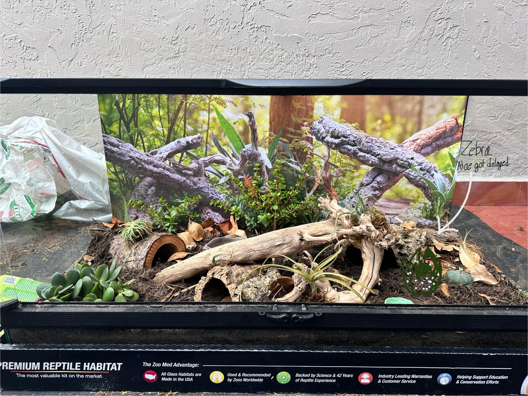 New Bioactive Setup | Scrolller