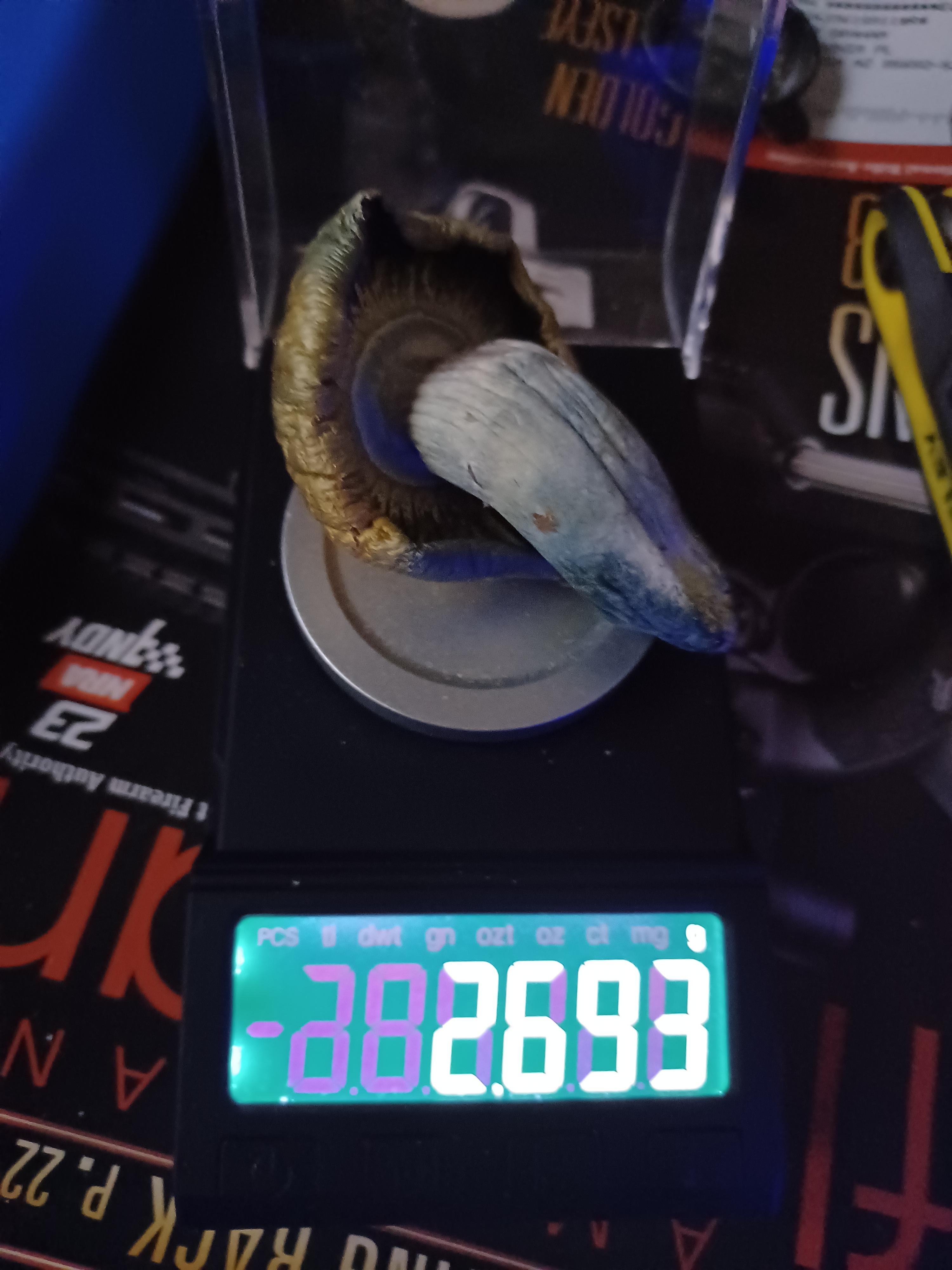 Biggest shrooms I've ever seen. | Scrolller