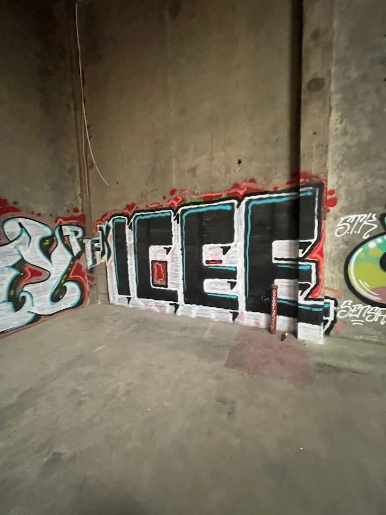 Discover more like Graffiti: ICE'E and Related Content | Scrolller
