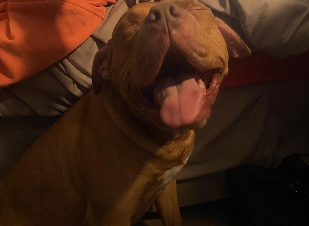 My smiley boy | Scrolller